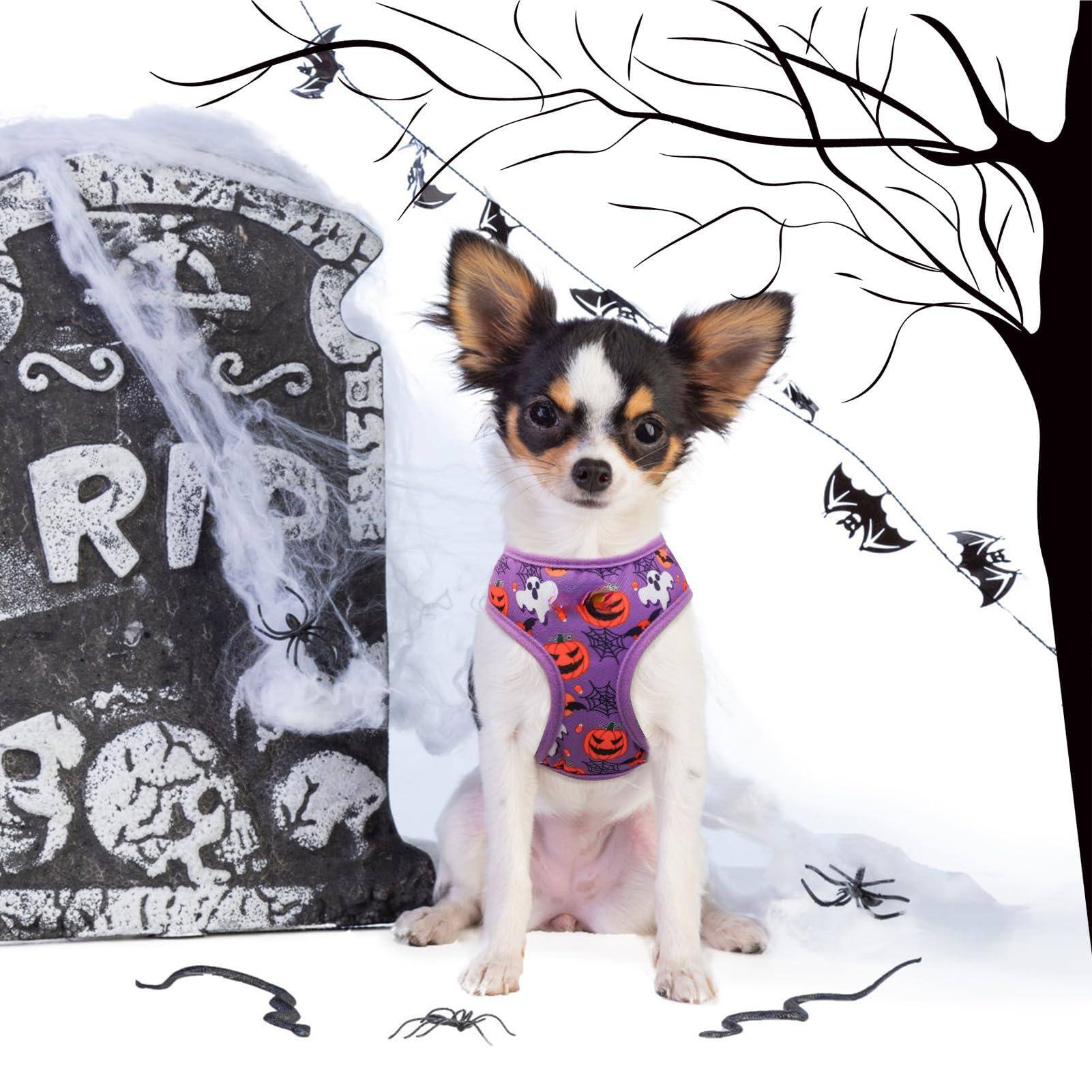 Paradigms Interiors Dog Harness Collar And Leash Set No Pull Pet ...