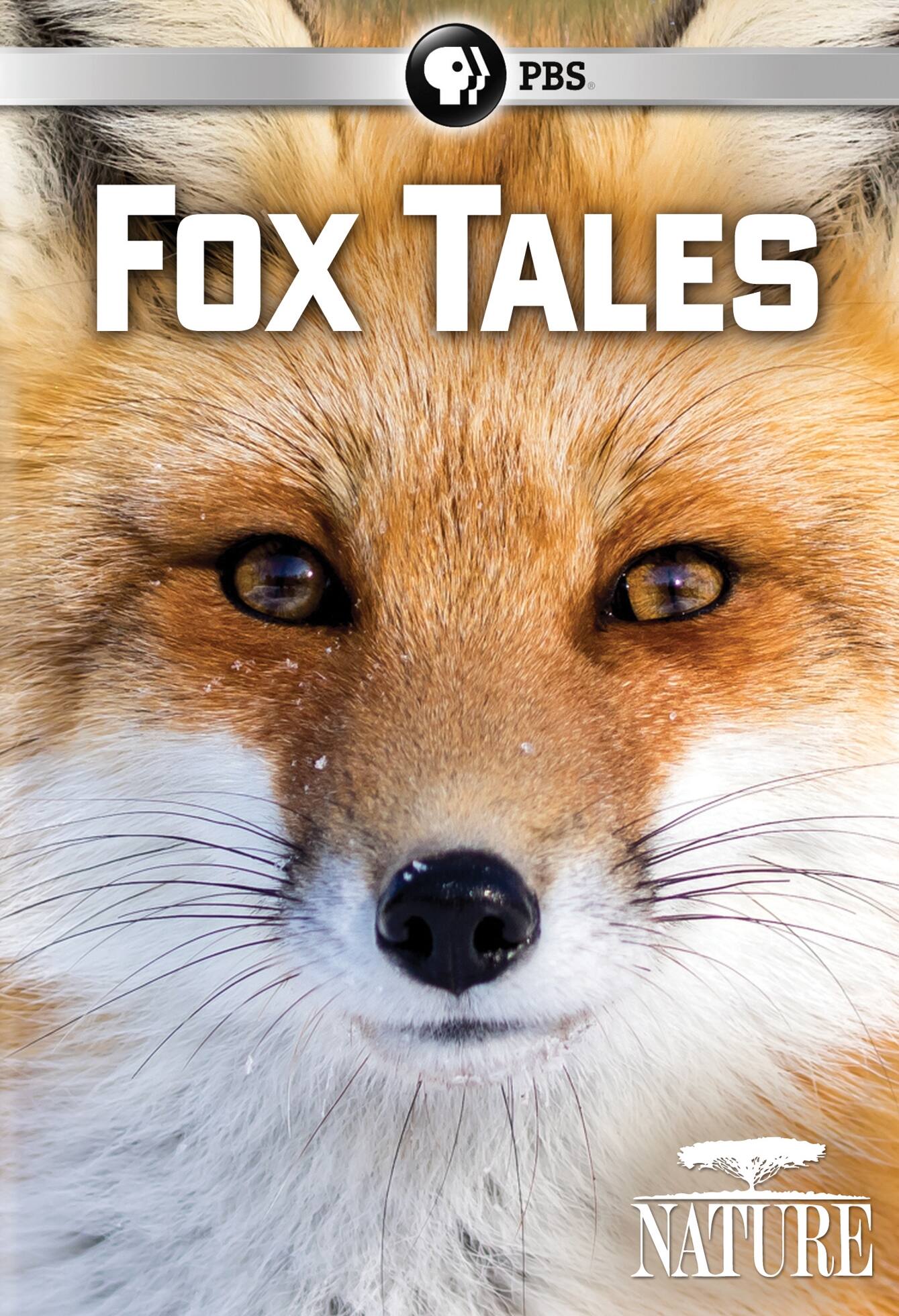 Best Buy: Nature: Fox Tales