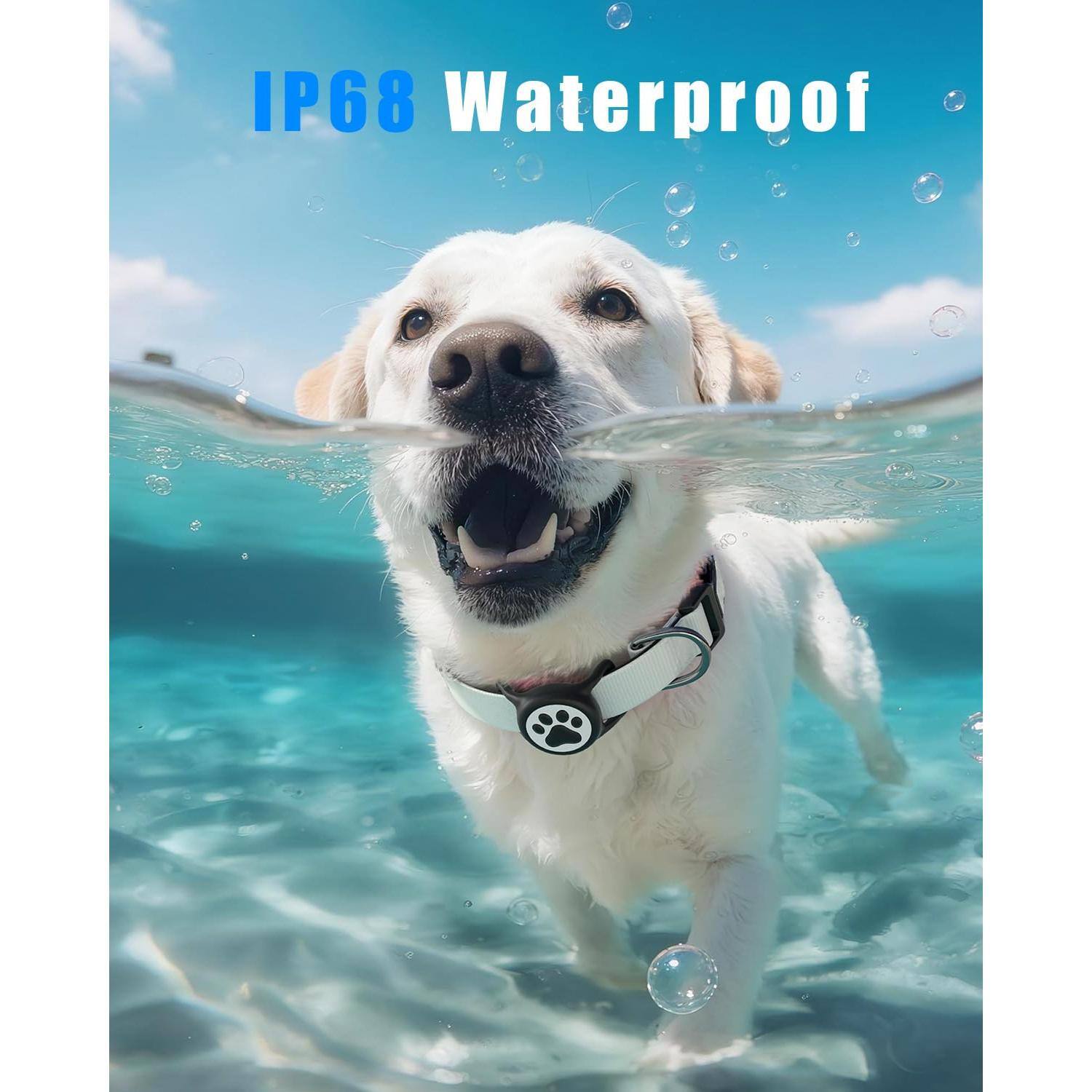 Paradigms Interiors Ip68 Waterpoof Dog Airtag Holder Stretchy Silicone ...