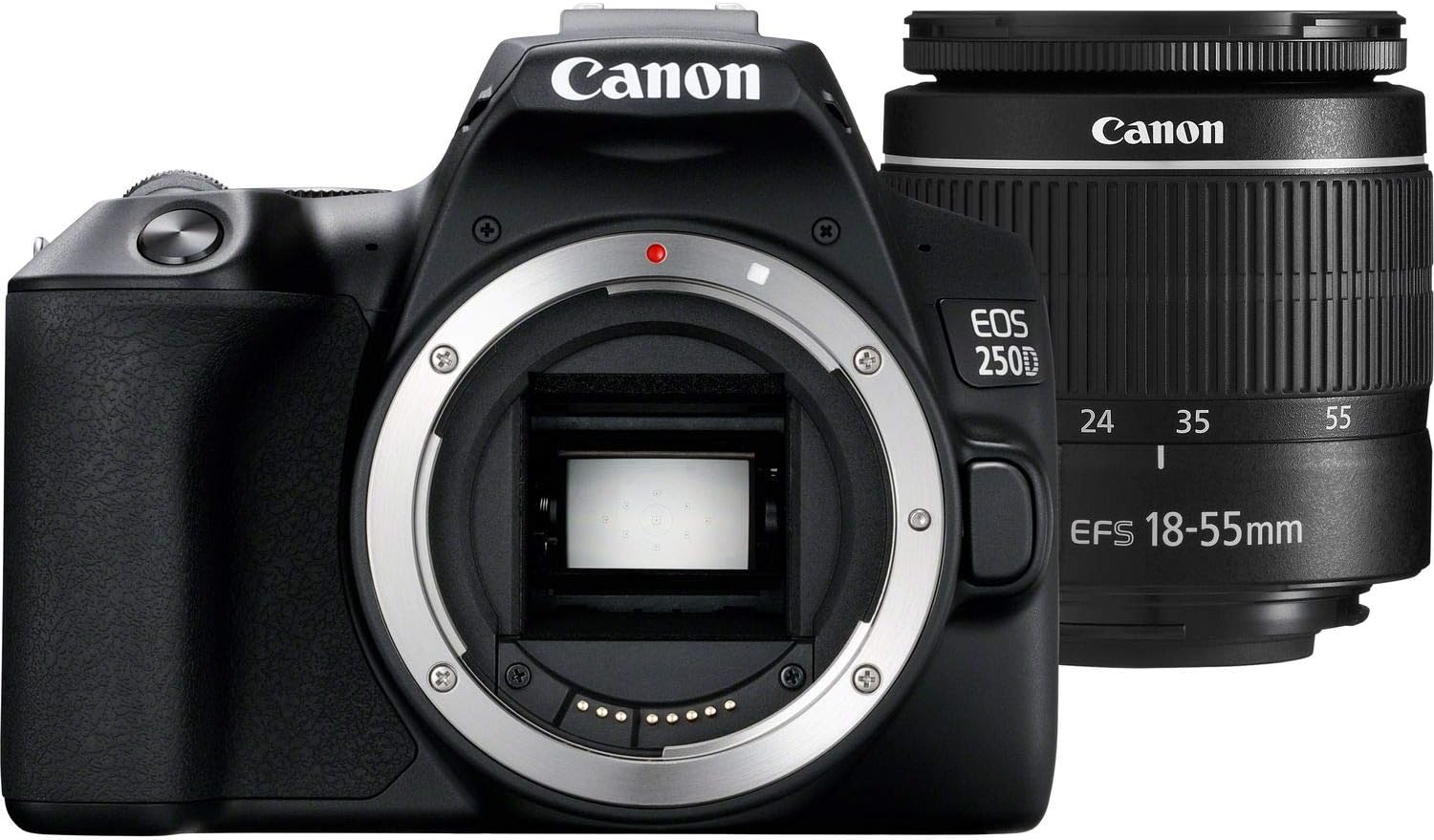 Canon EOS 250D DSLR Camera with 18 55mm Lens (Black) (3453C002) + EOS ...