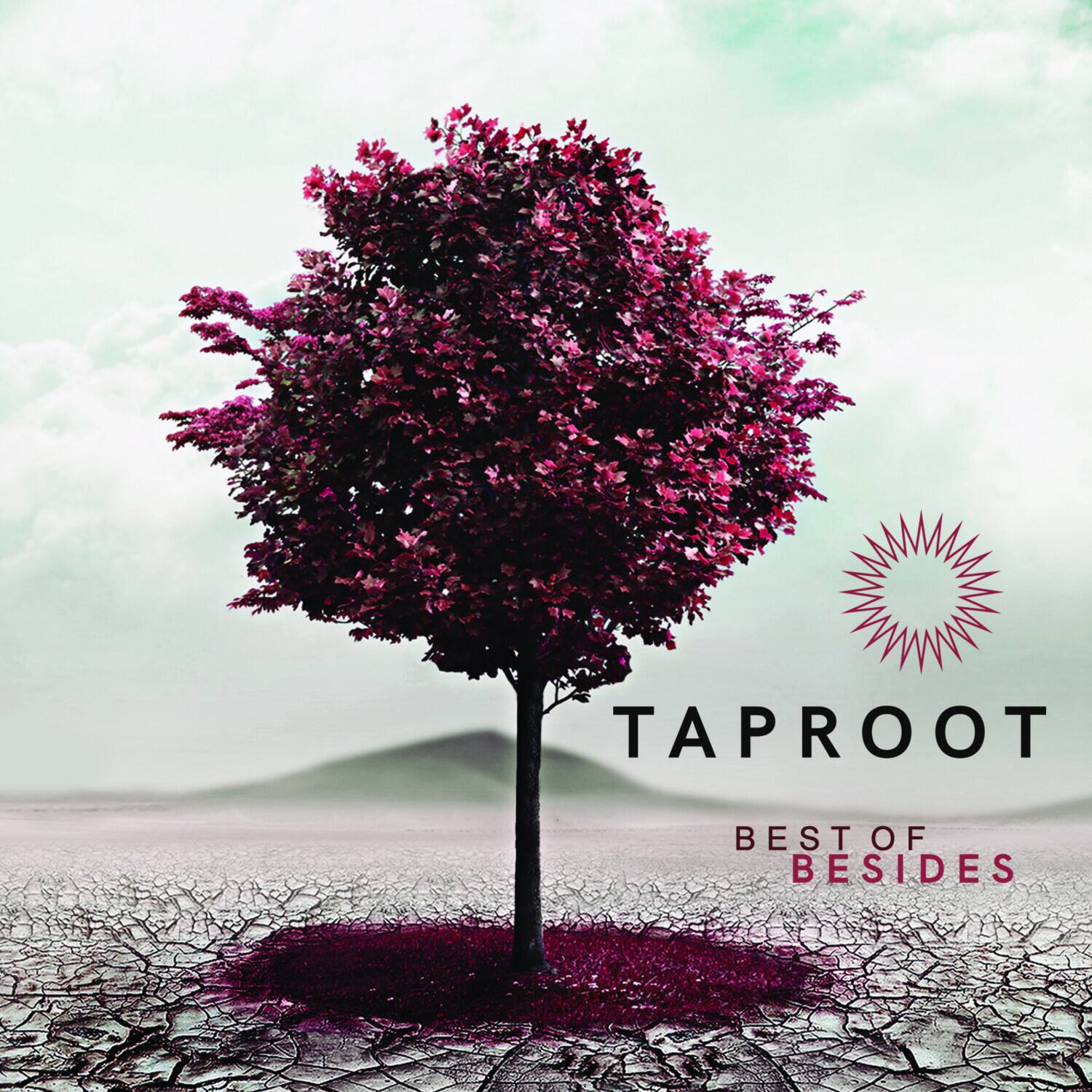 Taproot Best Of Besides COMPACT DISCS [CD] - Best Buy