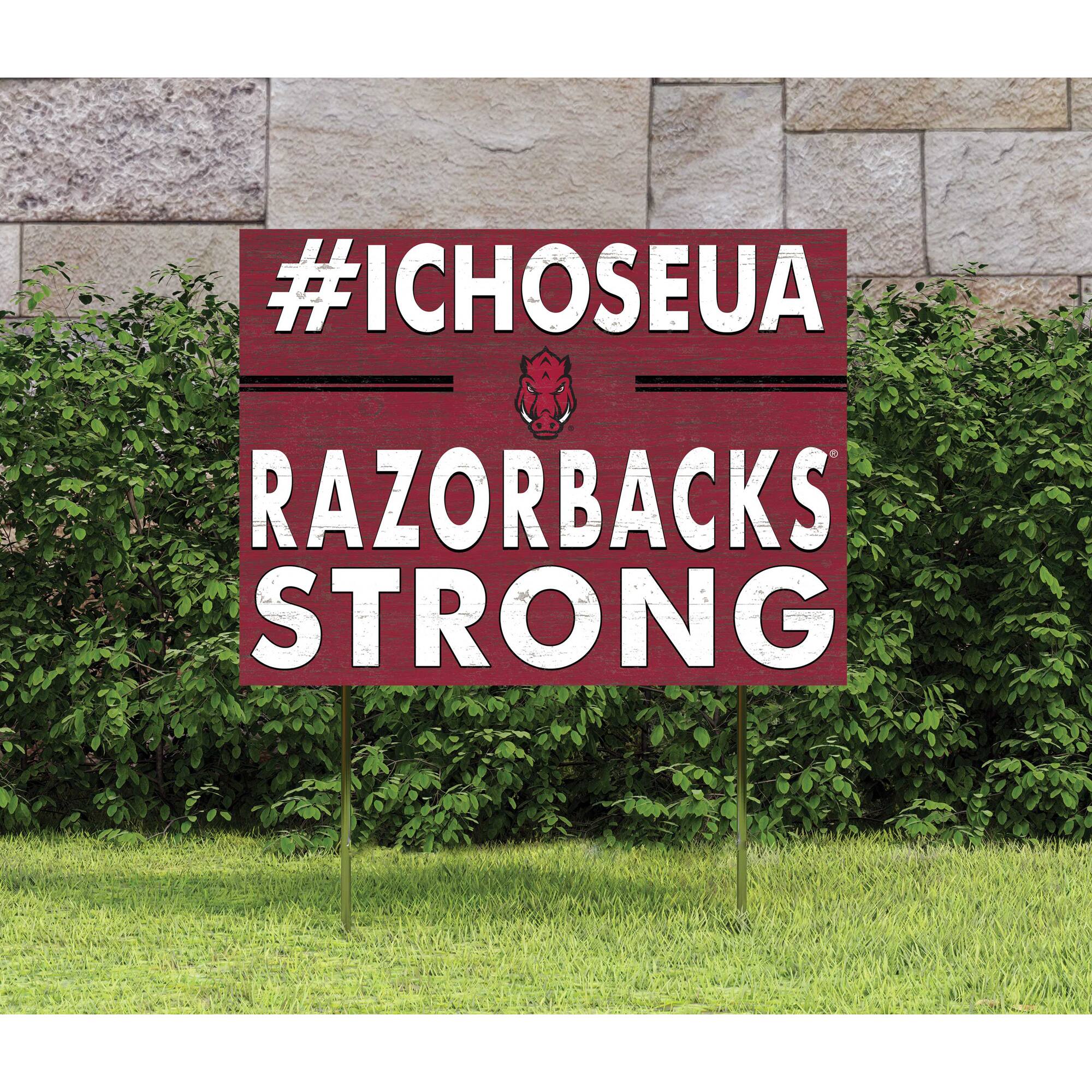 Jardine Arkansas Razorbacks 18'' x 24'' I Chose Lawn Sign Red 4939588 ...