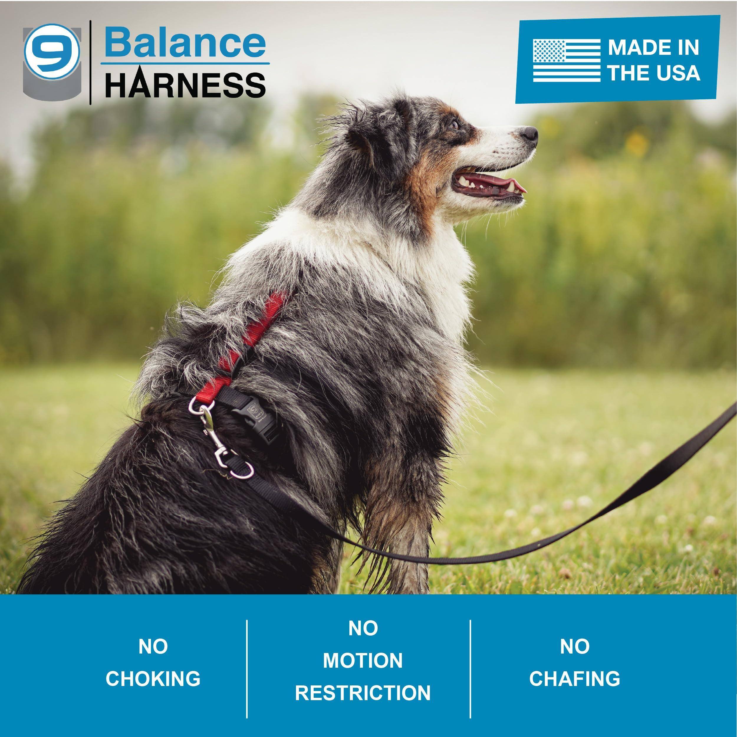 Paradigms Interiors Buckle neck Balance Harness Fully Customizable Fit ...