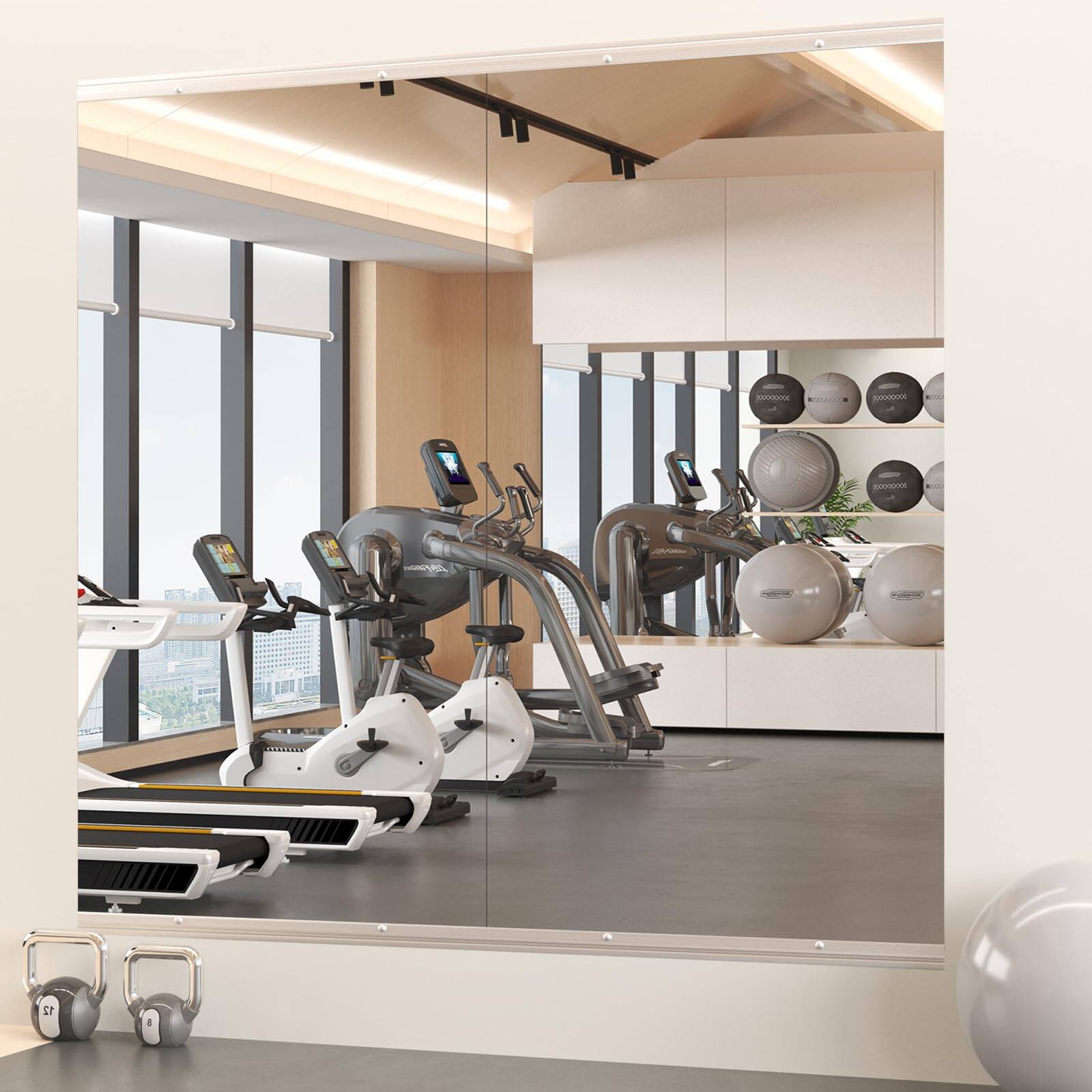 Cedar Assembly Gym Mirror 56''x16'' each Full Body For Yoga Garage ...