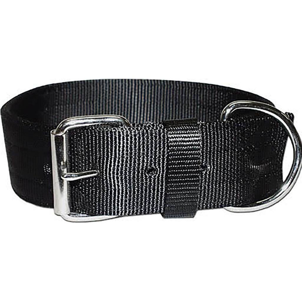 Omni Pet Bravo 2 Ply Nylon Dog Collar Black - Best Buy