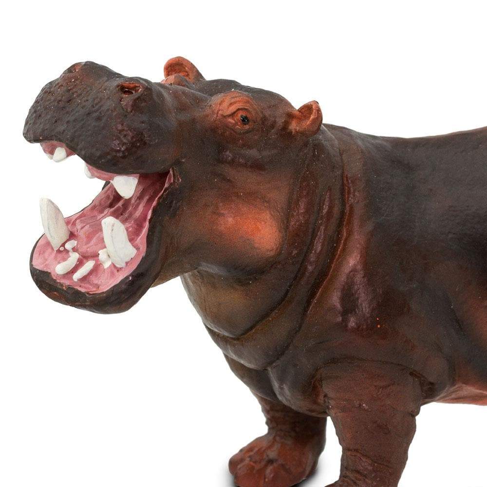 Safari Ltd. Hippopotamus Toy Figurine - Best Buy