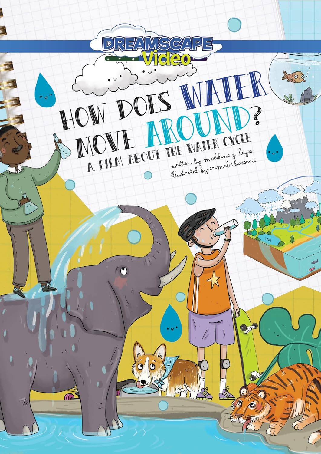 Best Buy: How Does Water Move Around?: A Book About the Water Cycle
