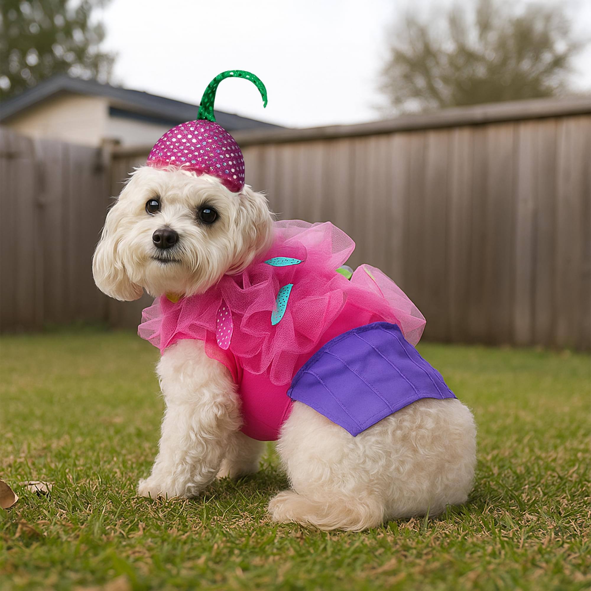 Rasta Imposta Cupcake Dog Pet Costume | Large Multi Colored 40317 ...
