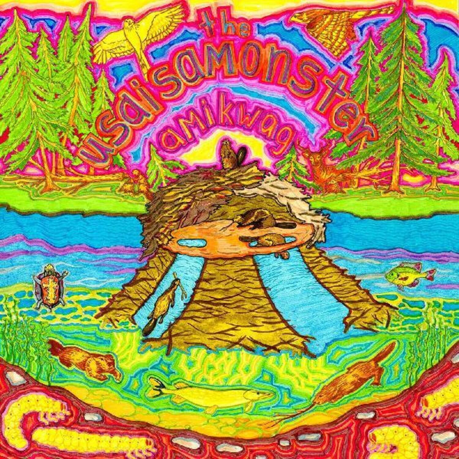 Usaisamonster Amikwag VINYL LP - Best Buy