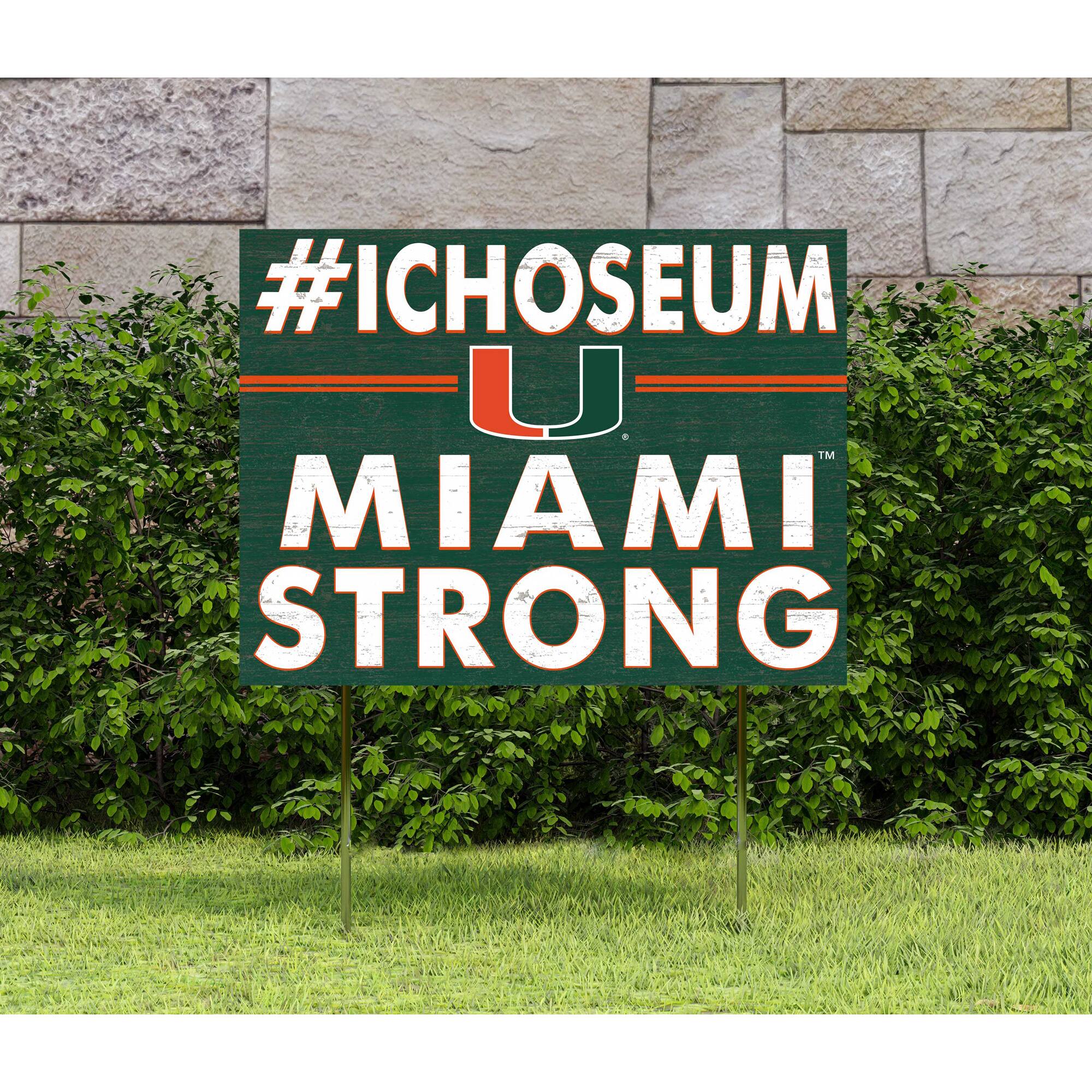 Jardine Miami Hurricanes 18'' x 24'' I Chose Lawn Sign Green 4939538 ...