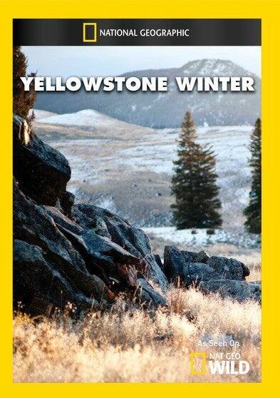 Yellowstone Winter DVD - Best Buy