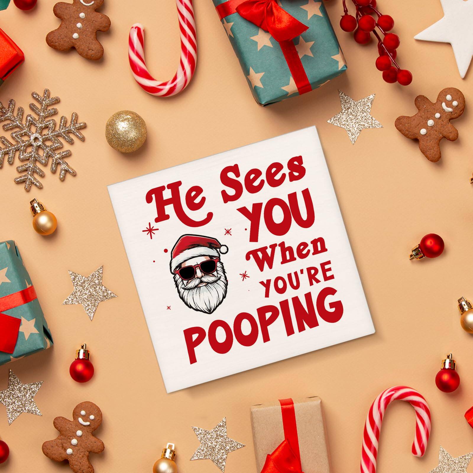 Paradigms Interiors Bathroom Christmas Decorations He Sees You When You ...