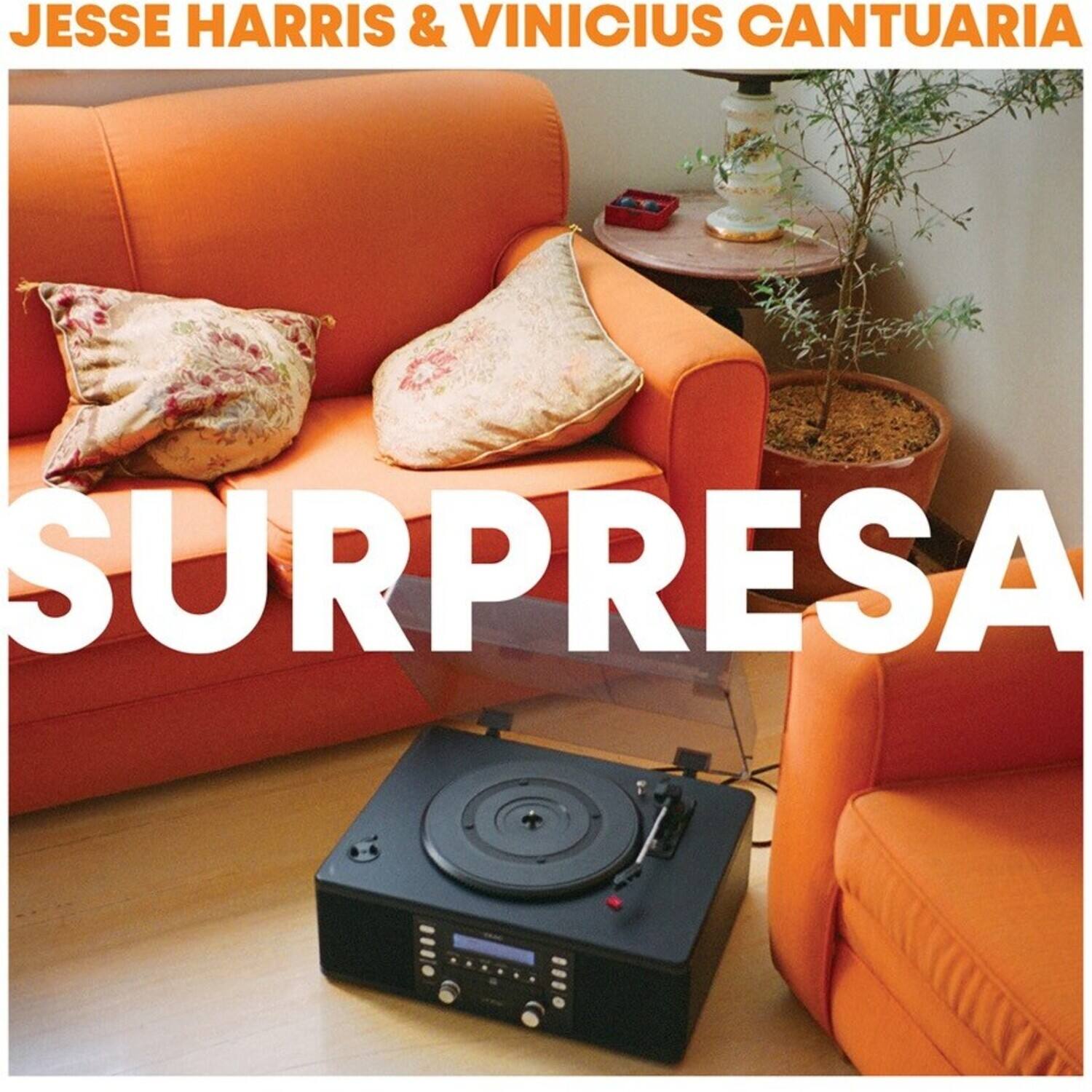 Jesse Harris Surpresa COMPACT DISCS [CD] - Best Buy