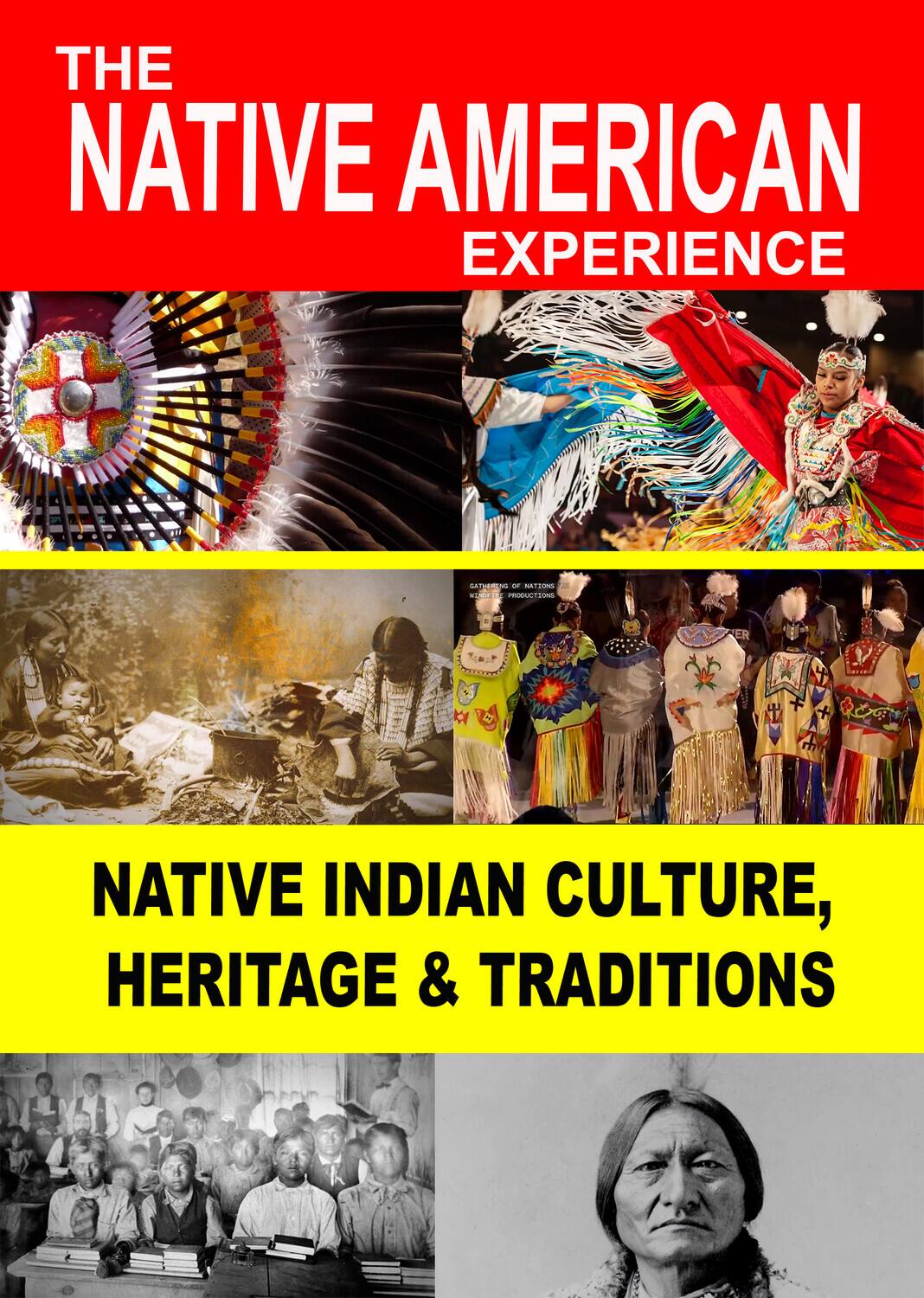Native American History, Culture and Heritage DVD - Best Buy