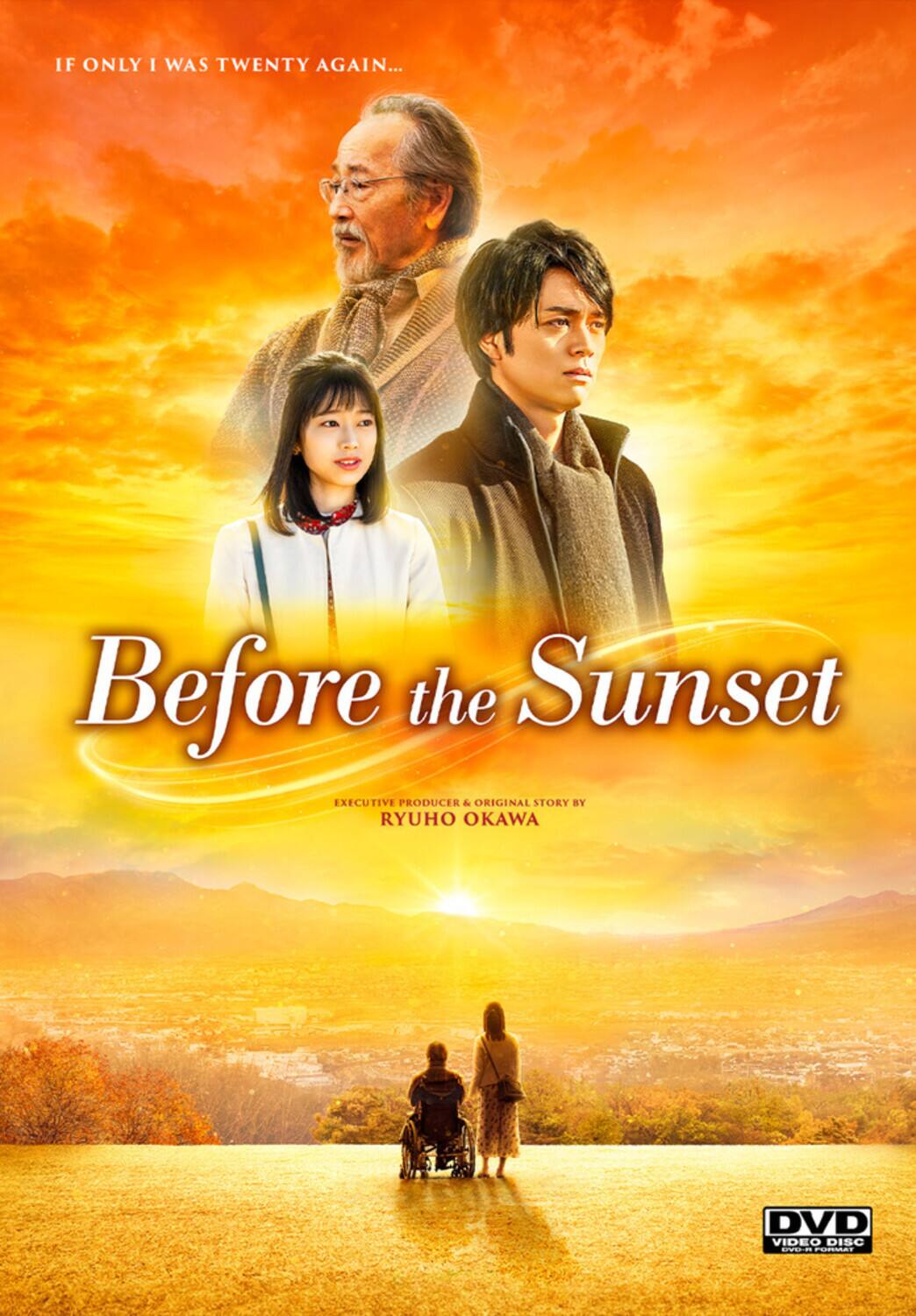 Before the Sunset DVD - Best Buy