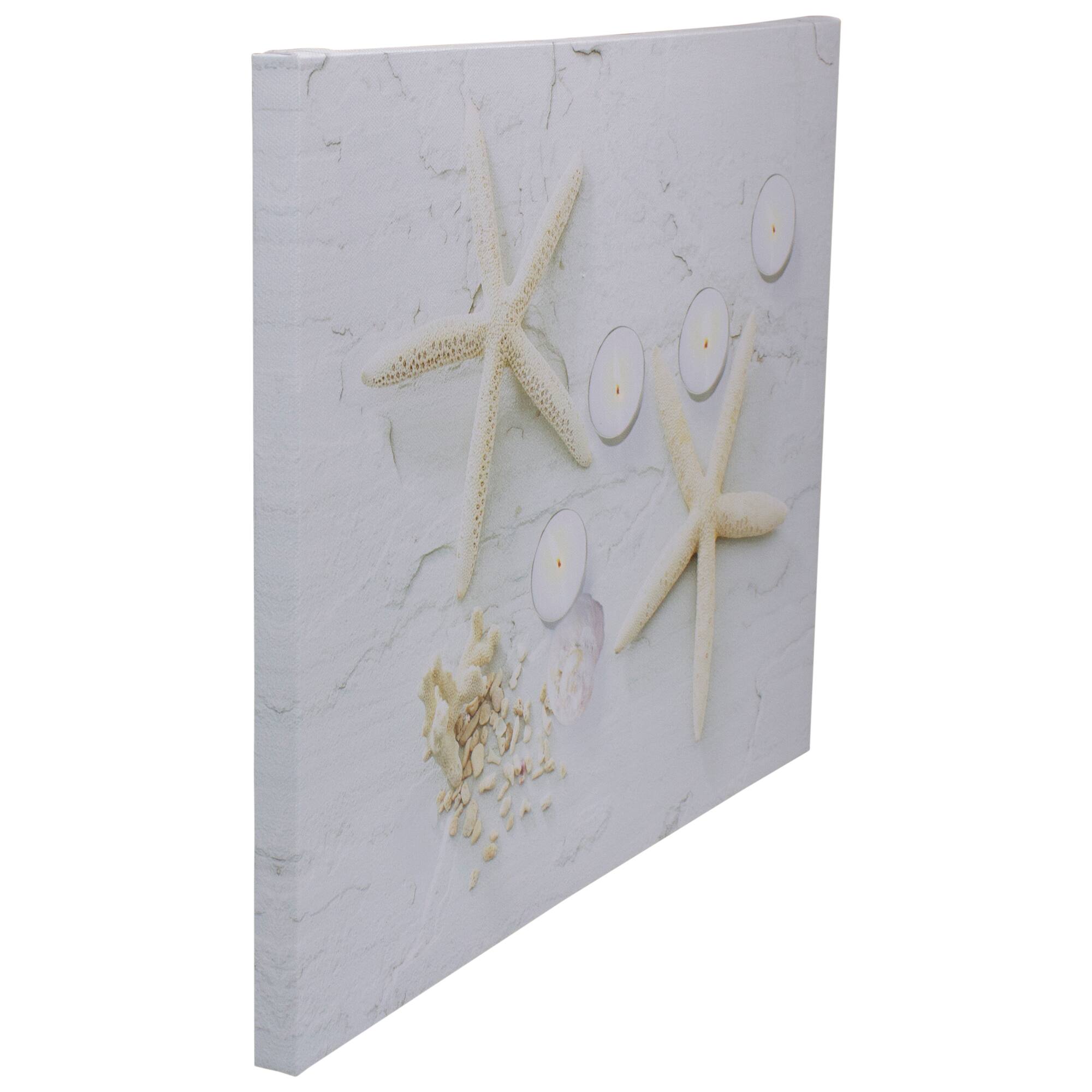Northlight LED Lighted Starfish, Seashell and Tea Light Candles Canvas ...