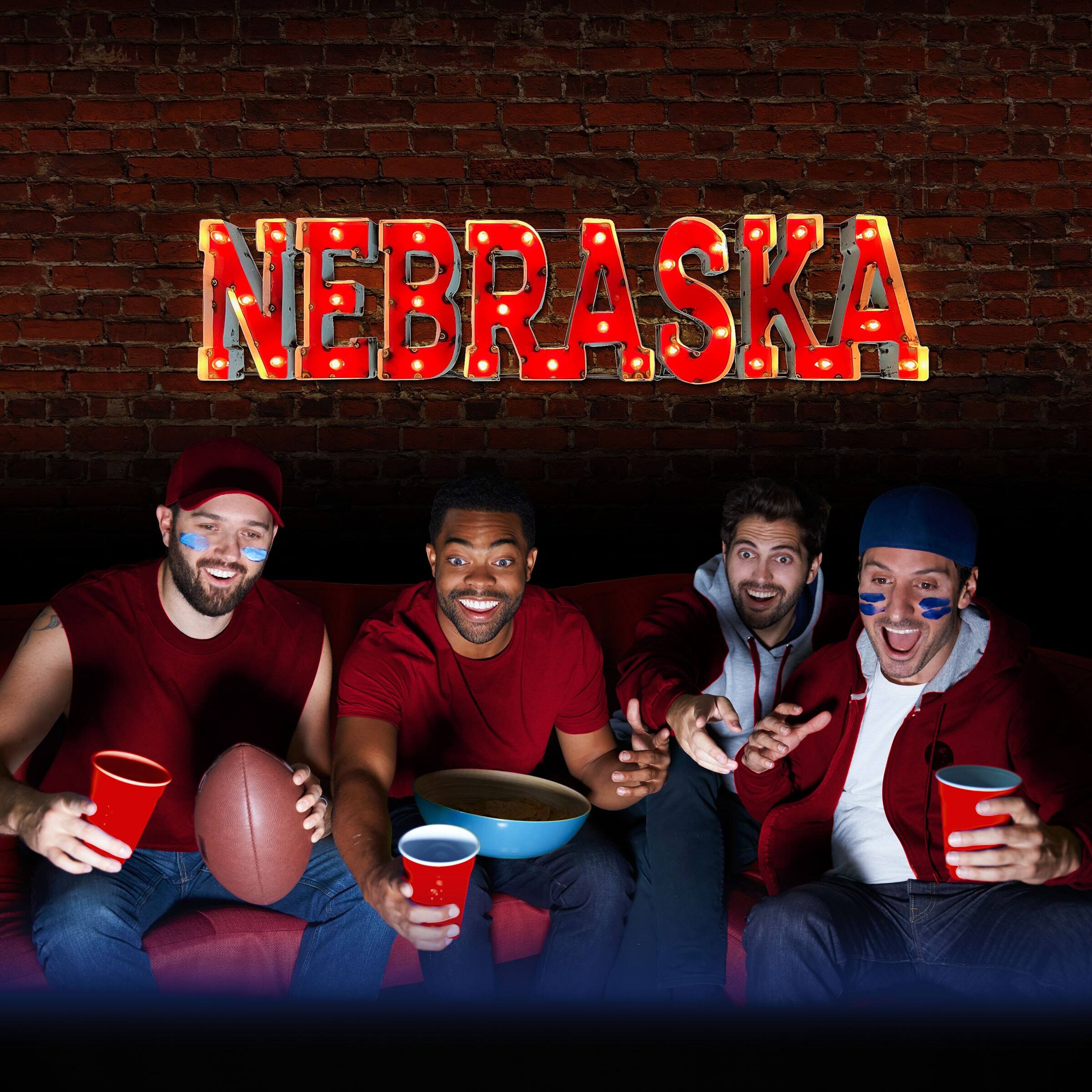 Imperial Nebraska Huskers Logo Lighted Recycled Metal Sign Multicolor ...