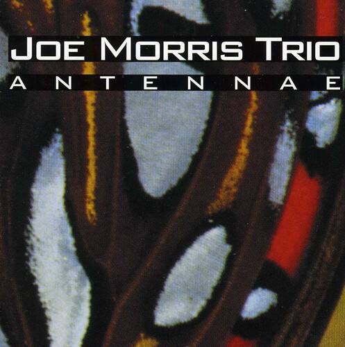 Joe Morris Antennae COMPACT DISCS [CD] - Best Buy