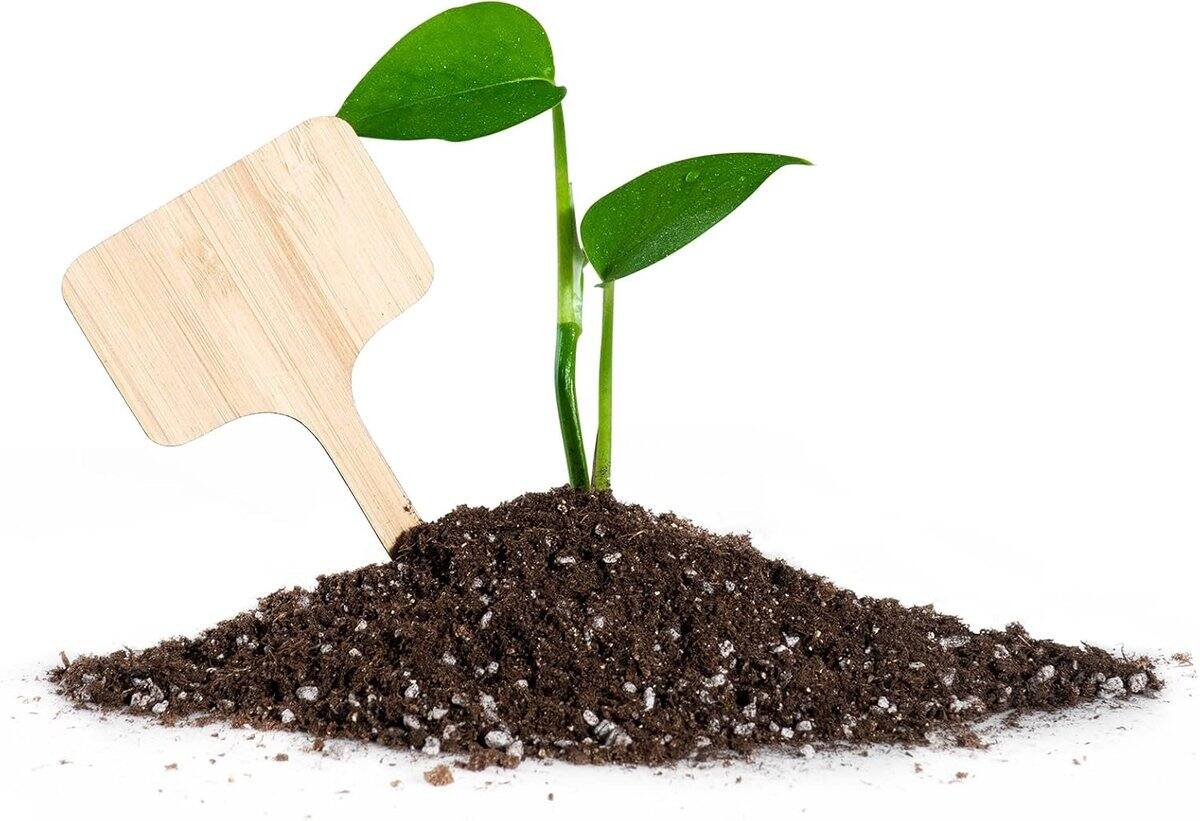 Auledio 50 bamboo T shaped plant labels with markers, garden markers ...