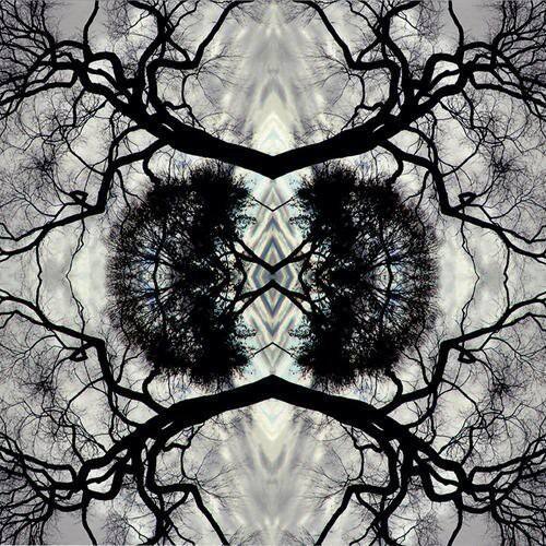 Adam Rudolph Sonic Mandala Go: Organic Orchestra COMPACT DISCS [CD ...