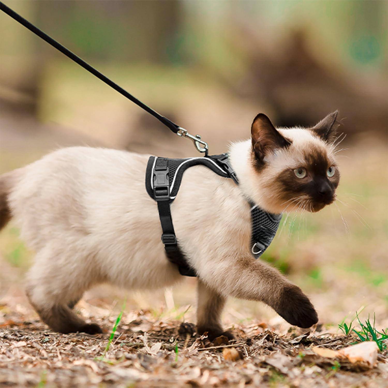 Paradigms Interiors Cat Harness And Leash For Walking Adjusted In Four ...
