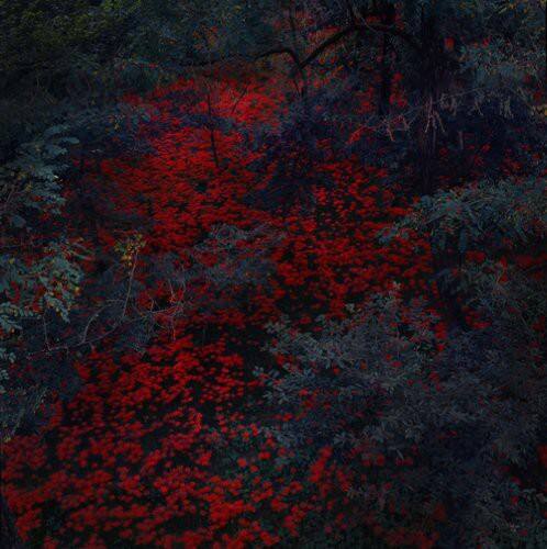 Alex Cobb Marigold & Cable VINYL LP - Best Buy