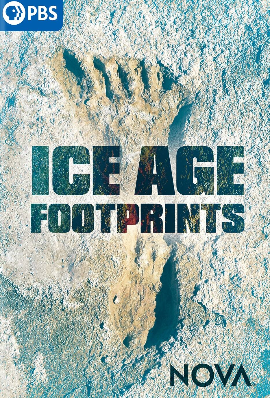 Best Buy: NOVA: Ice Age Footprints