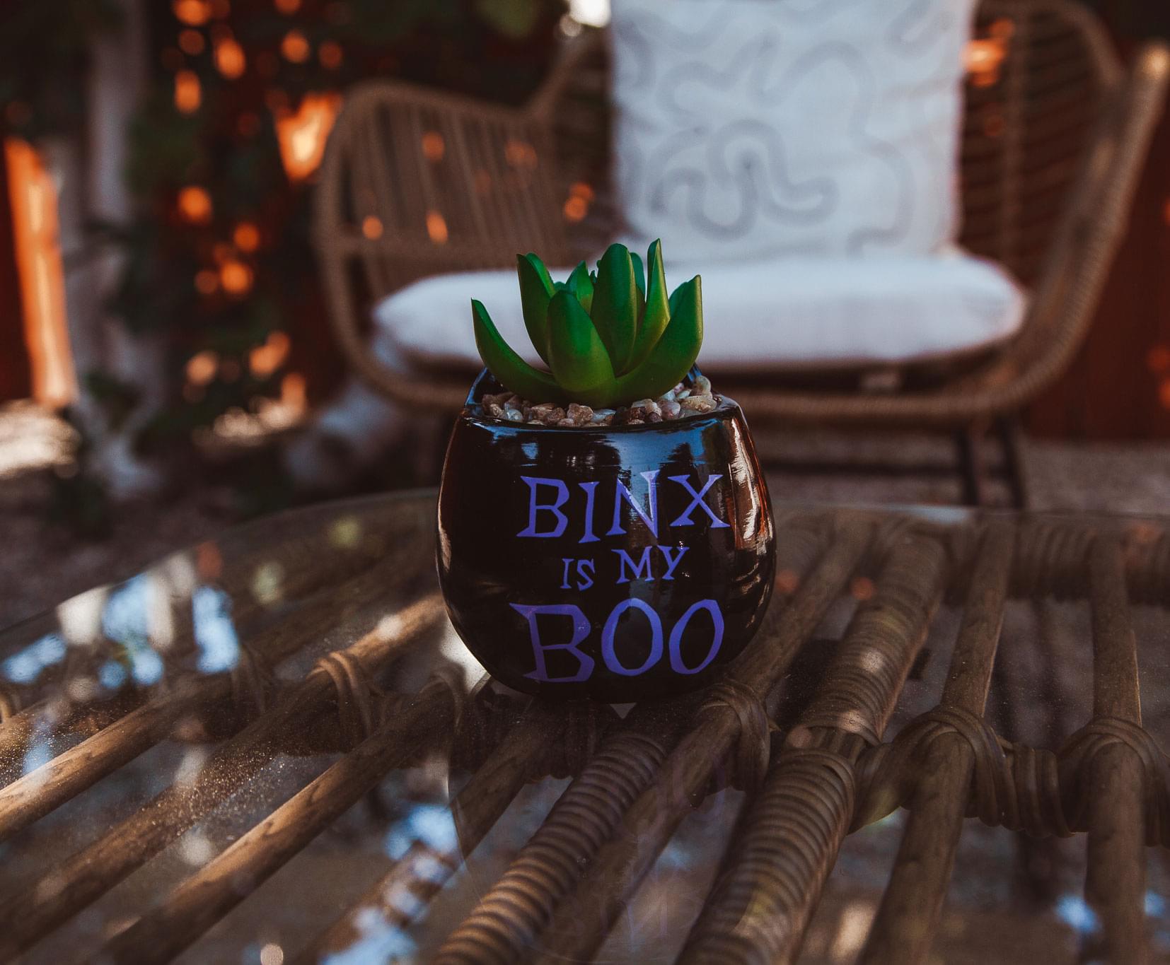 Silver Buffalo Disney Hocus Pocus "Binx Is My Boo" Ceramic Planter with ...
