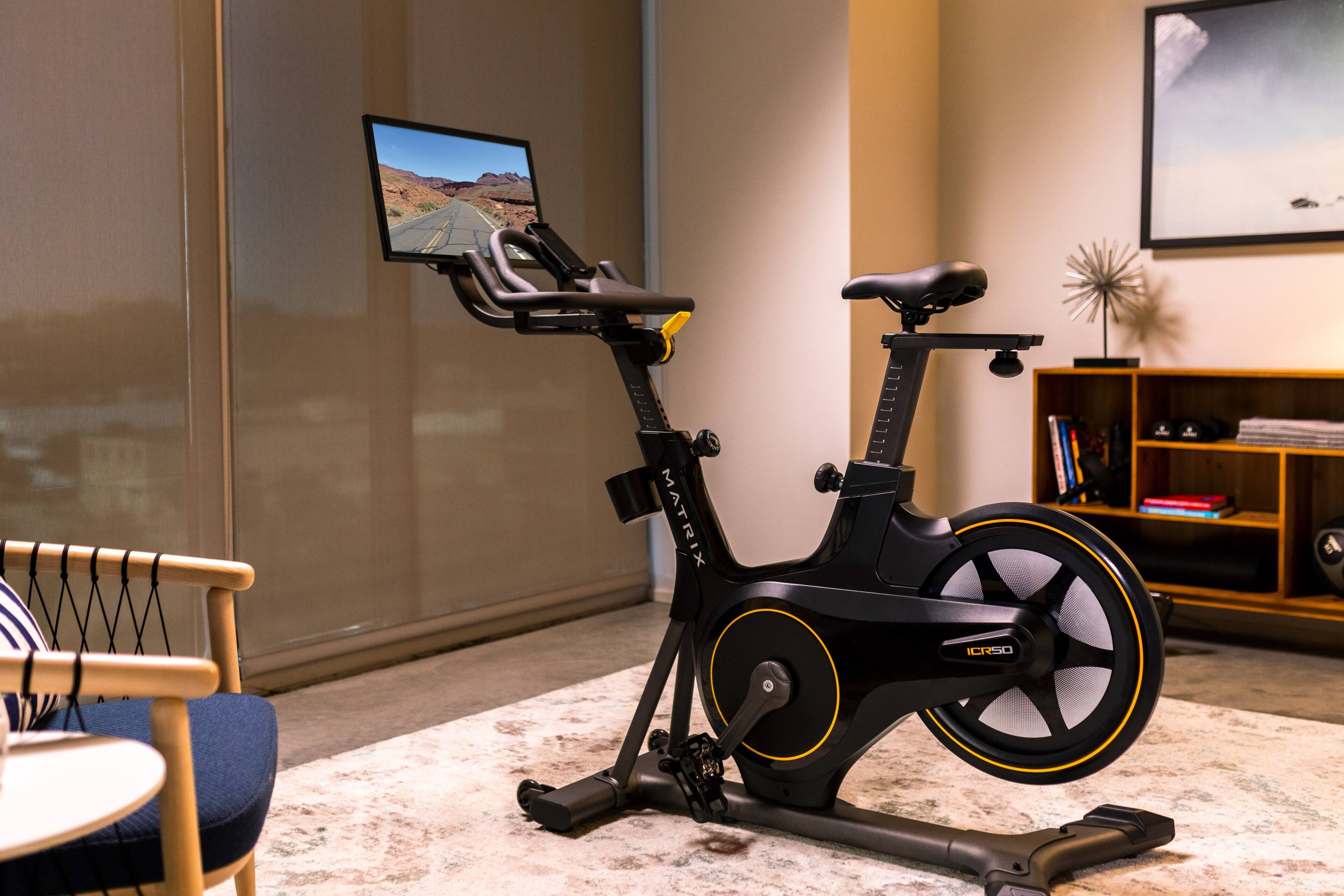 Customer Reviews: Matrix ICR50 Indoor Cycle with IX display Black ...