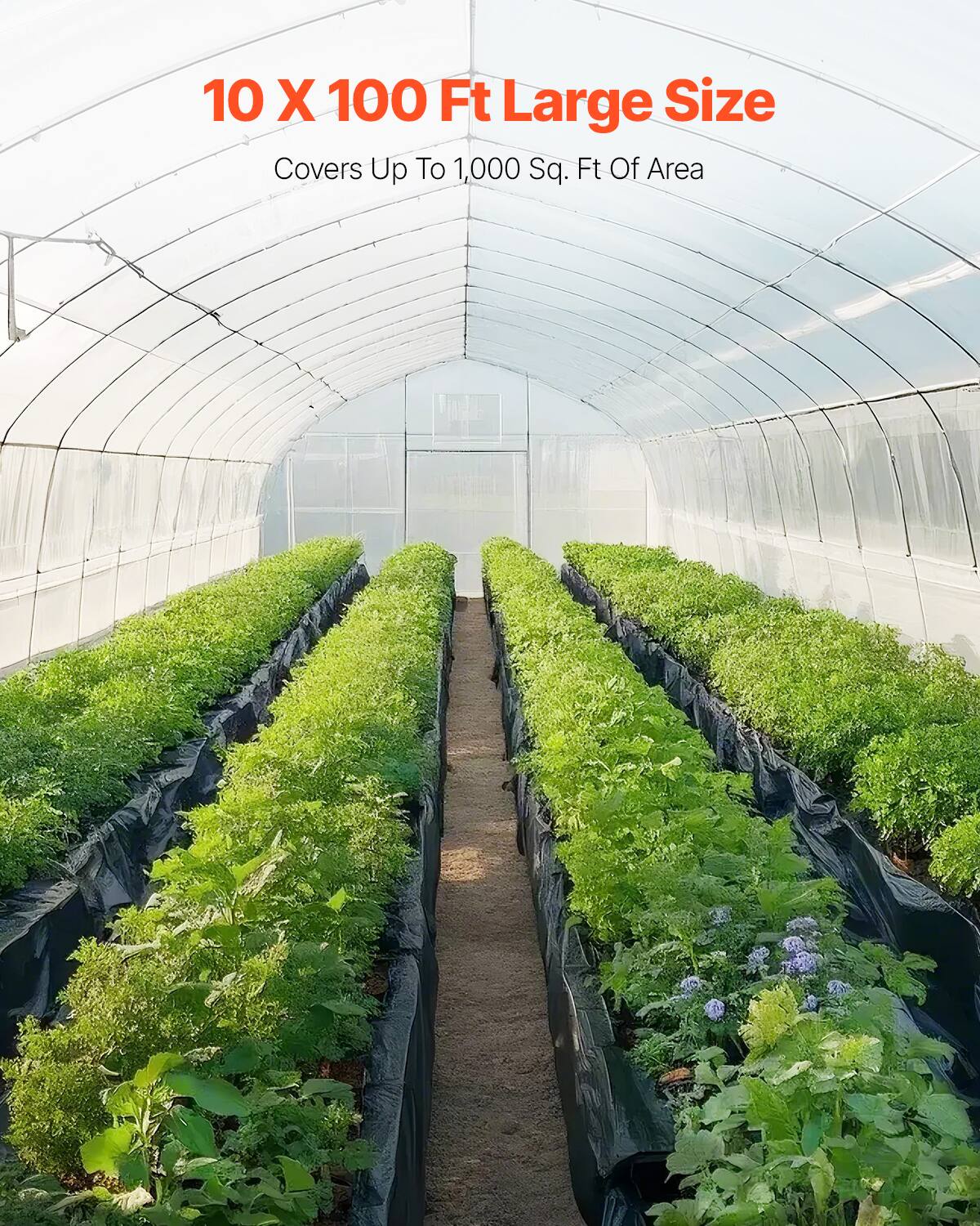 VEVOR Plastic Sheeting Heavy Duty 10' x 100', 6 Mil Thick Plastic ...