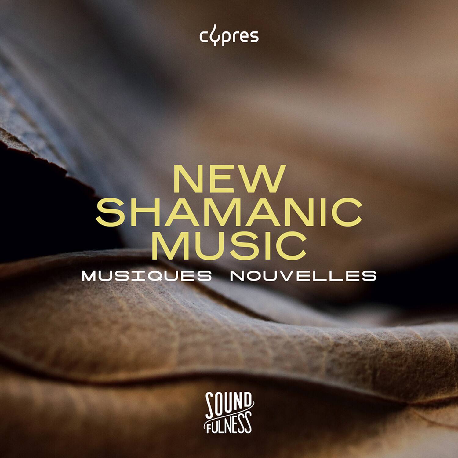 Various Artists New Shamanic Music COMPACT DISCS [CD] - Best Buy