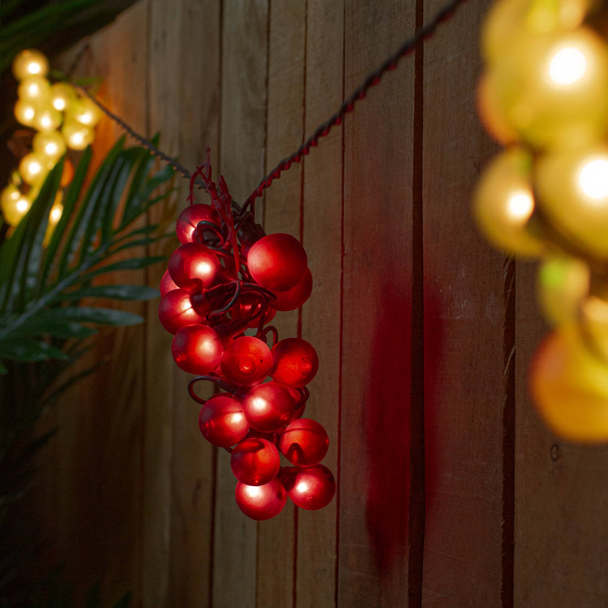 Northlight 5 Count and Green Grape Cluster String Light Set, 8ft Brown ...
