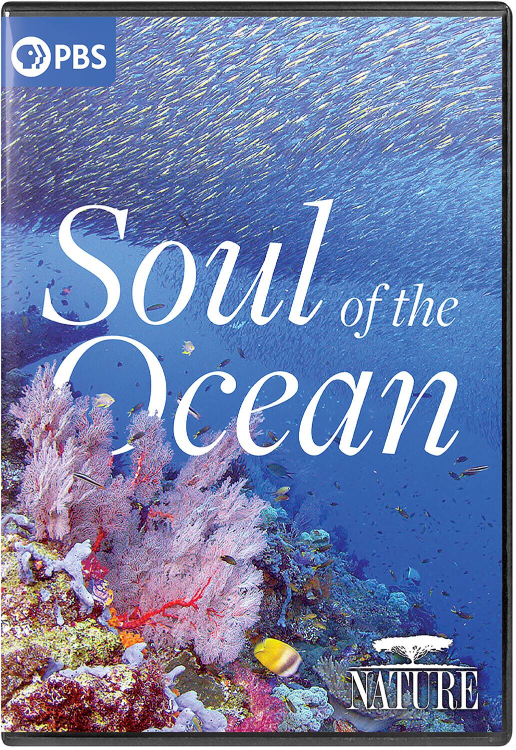 Nature: Soul Of The Ocean DVD - Best Buy