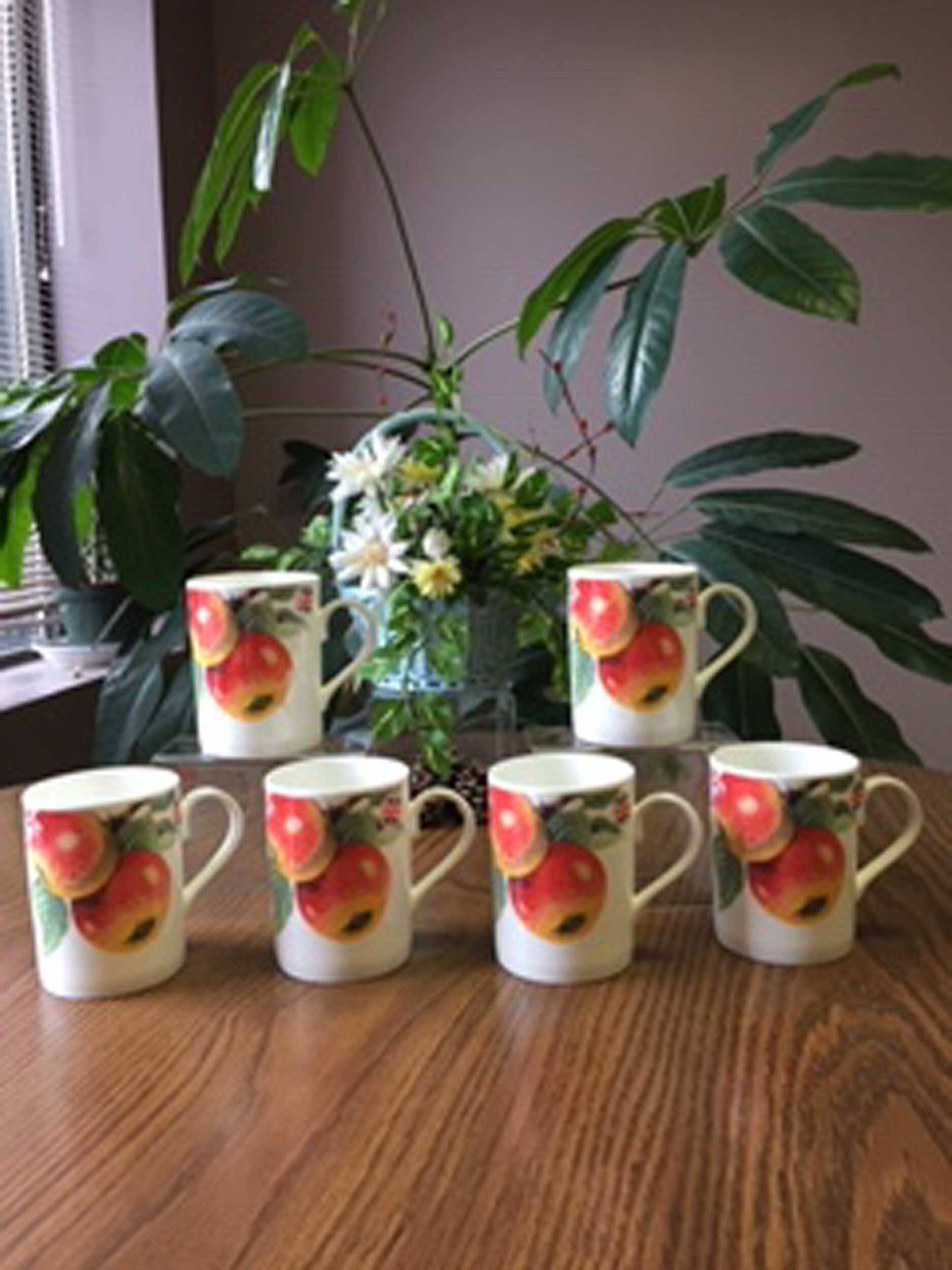 Jiallo Roy Kirkham LUCY MUG APPLE FRUIT TREE, Set of 6, Bone China ...