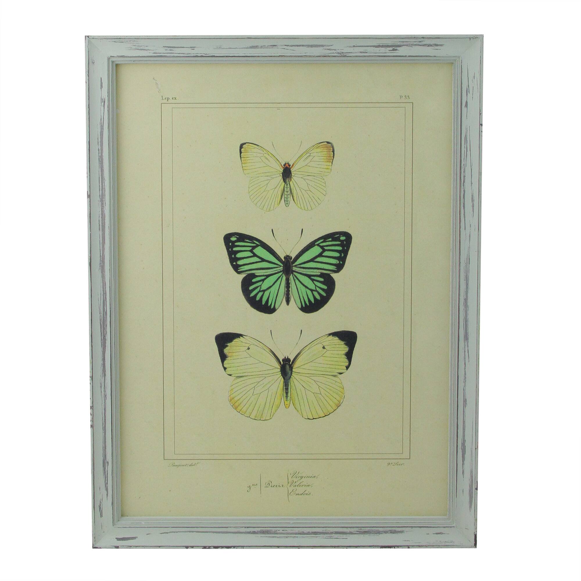 Kaemingk and Green Butterfly Print Rectangular Wall Art 15.75" x 12 ...