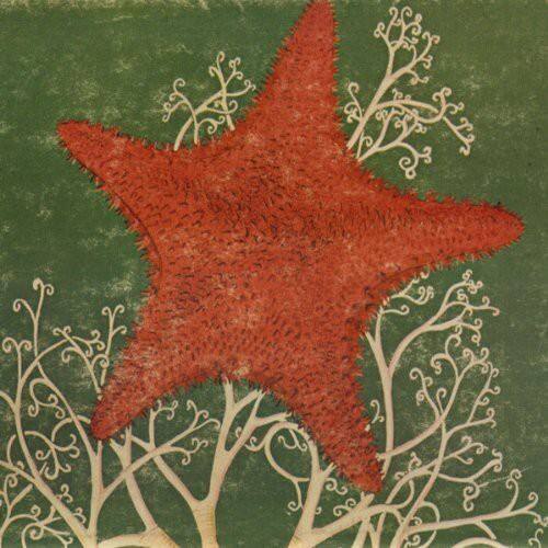 The Blithe Sons Arm of the Starfish COMPACT DISCS [CD] - Best Buy