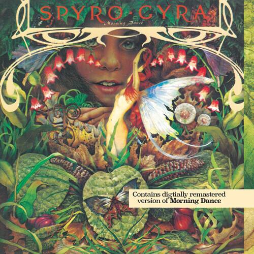 Spyro Gyra Morning Dance COMPACT DISCS [CD] - Best Buy