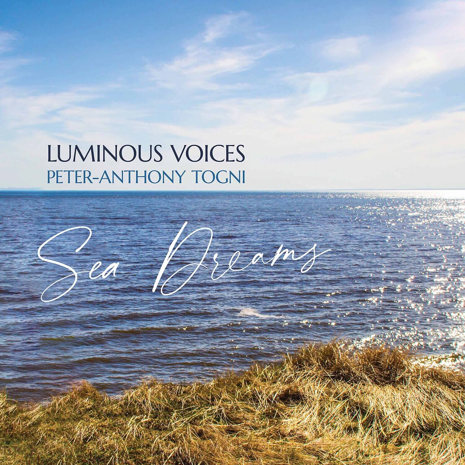 Luminous Voices Sea Dreams COMPACT DISCS [CD] - Best Buy