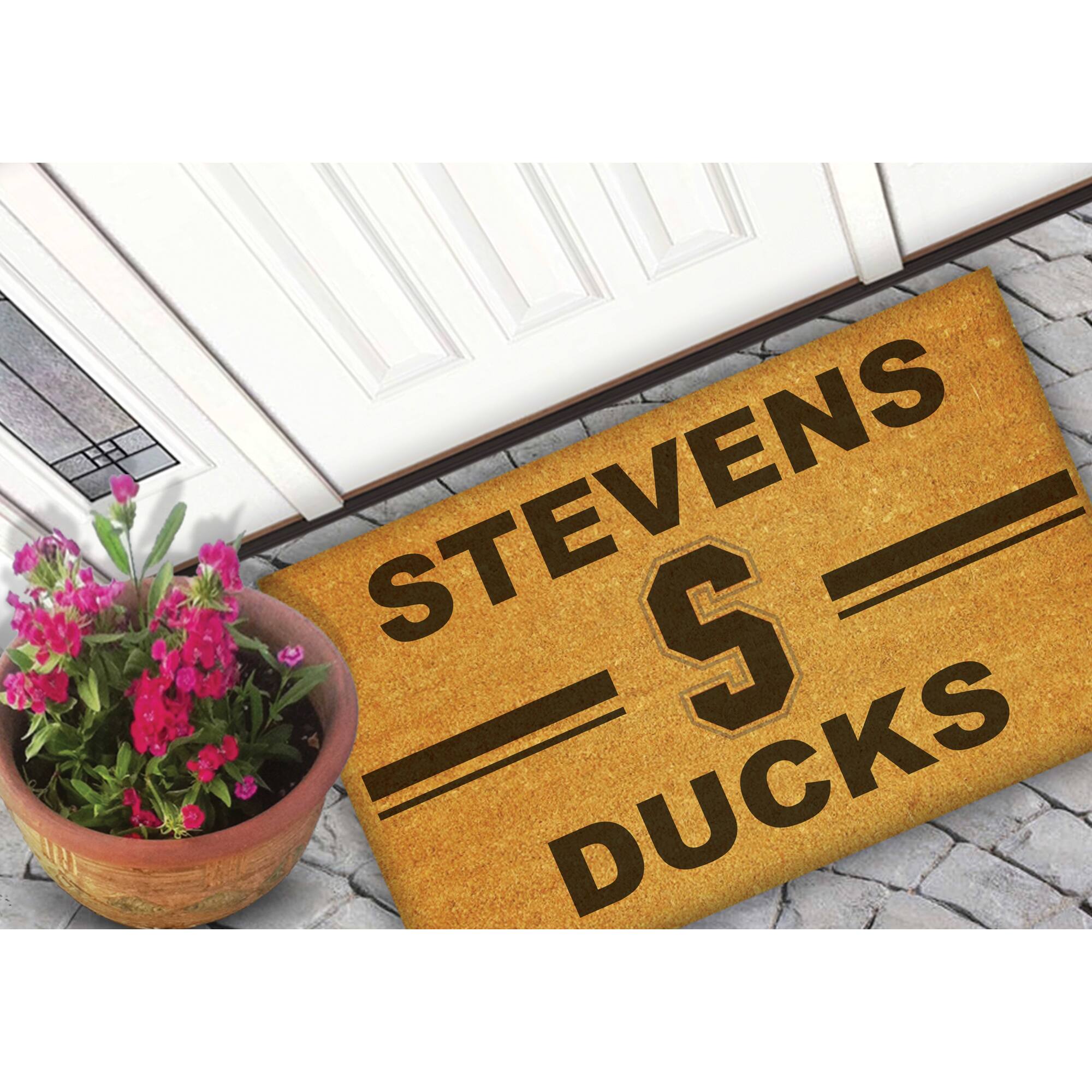 Jardine Stevens Institute of Technology Ducks 18" x 30" Team Logo ...