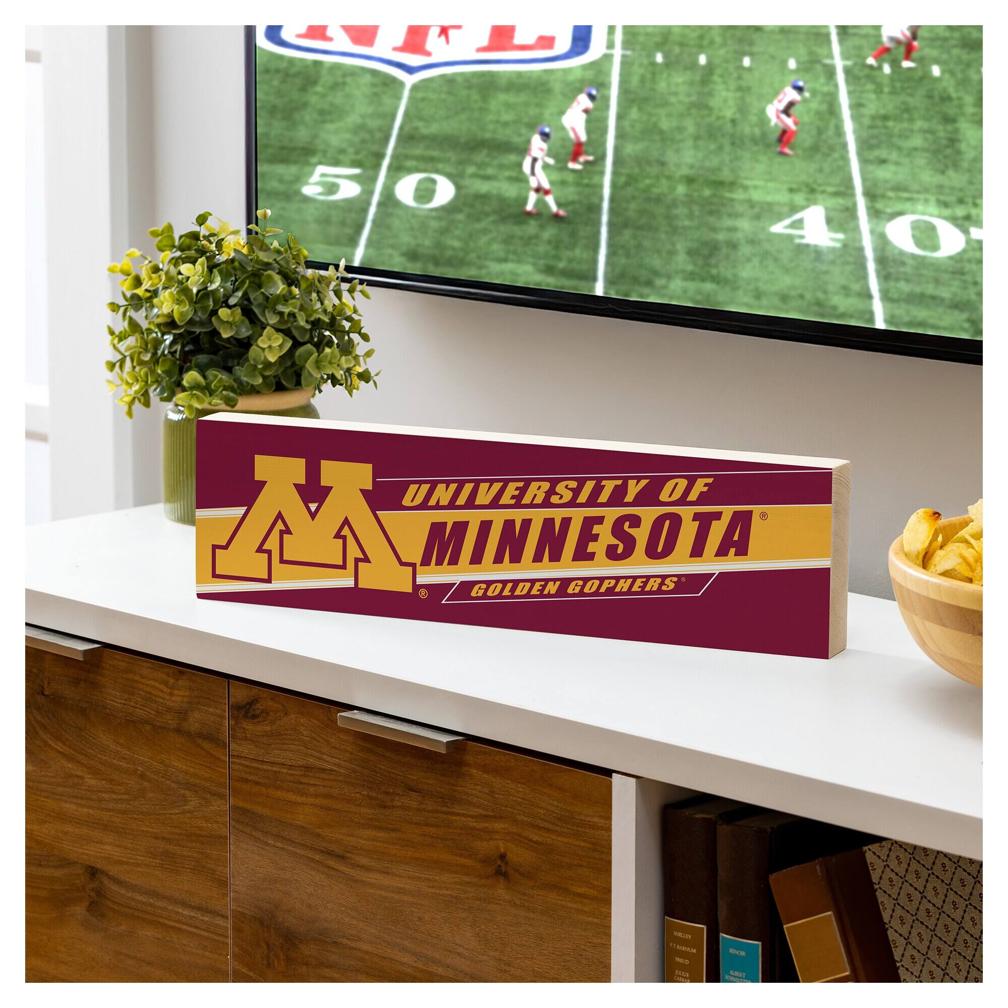 Evergreen Enterprises Minnesota Golden Gophers 5" x 18" Shadow Logo ...