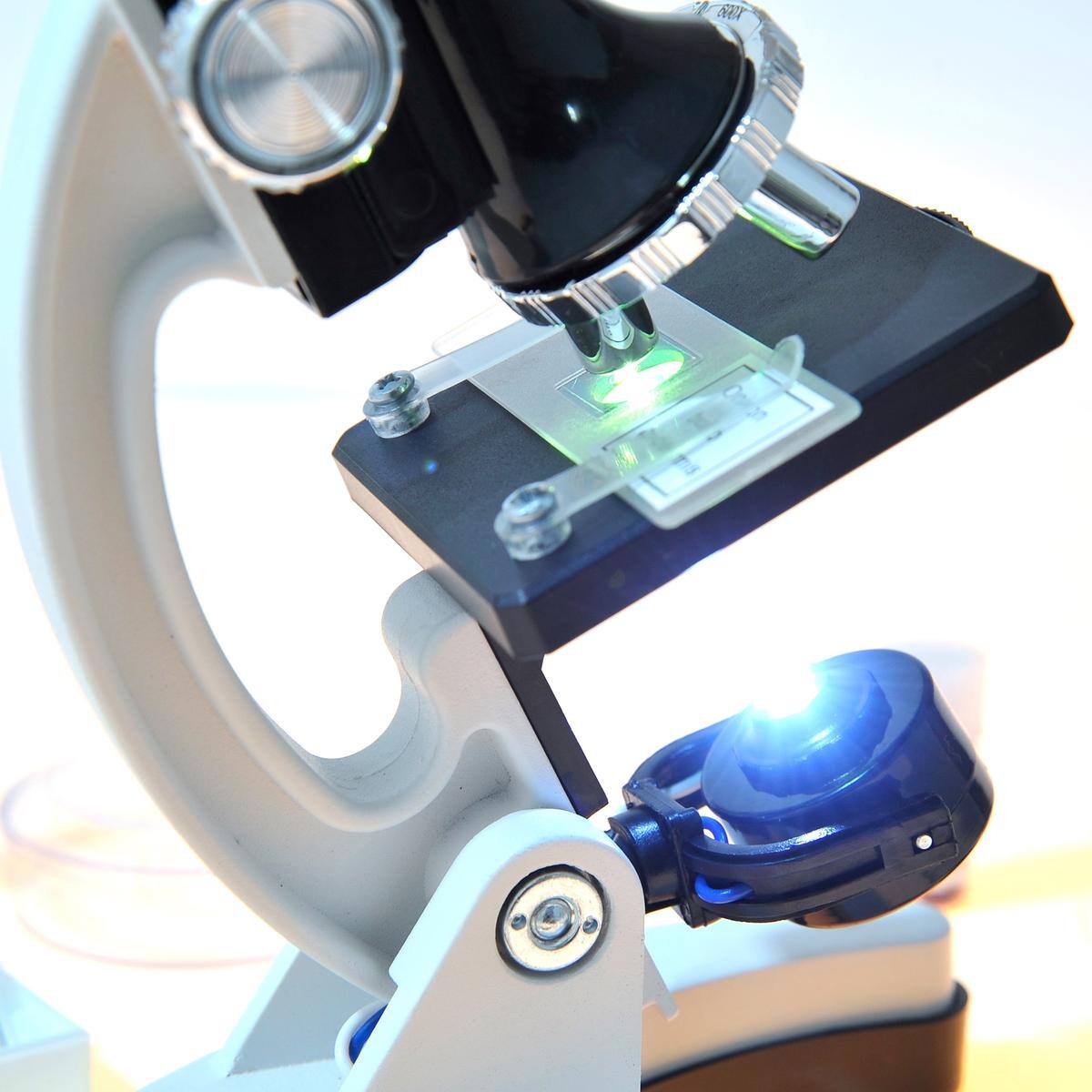 JuzToys 120x 1200x 52 pcs Kids Beginner Microscope w/ Metal Body Multi ...