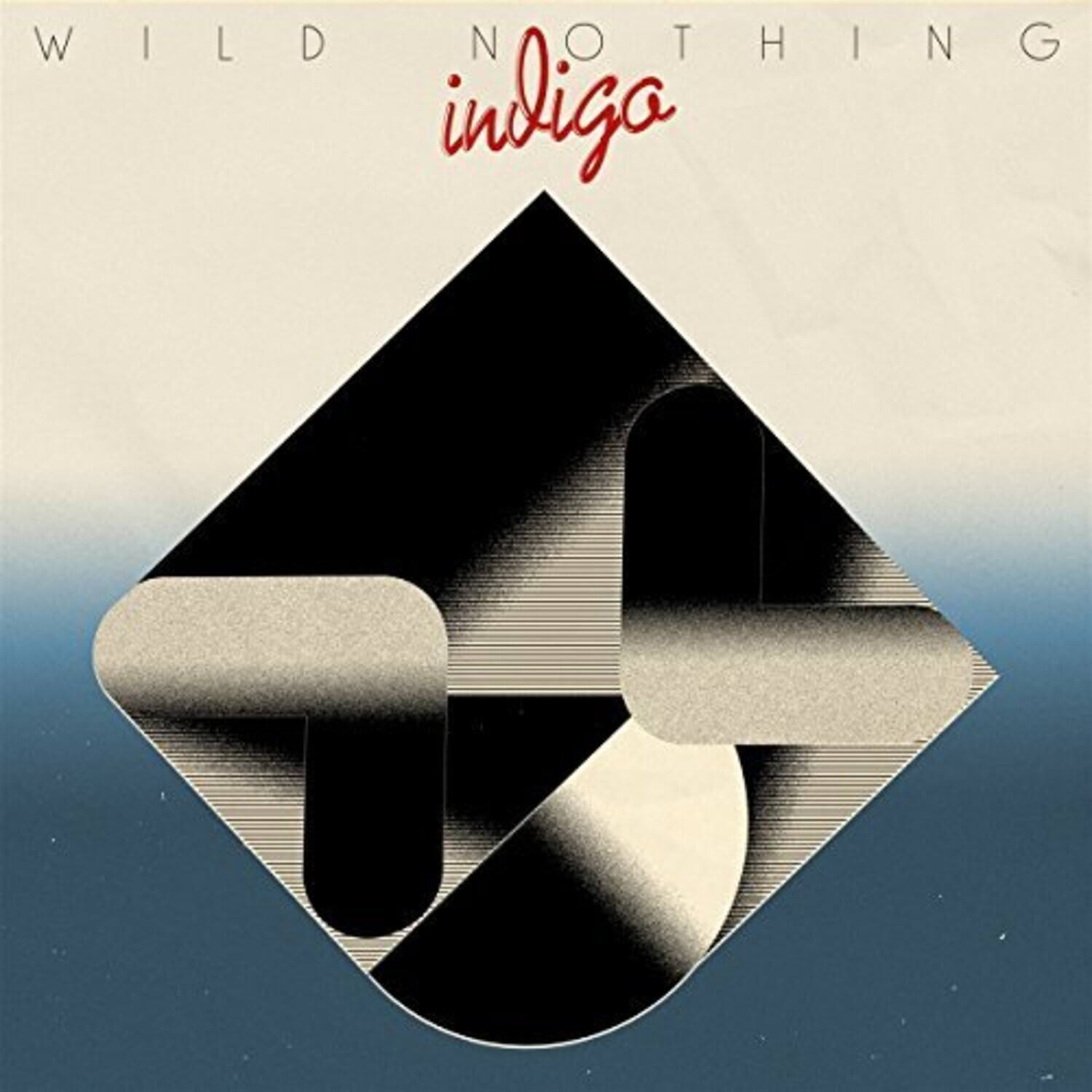 Wild Nothing Indigo COMPACT DISCS [CD] - Best Buy