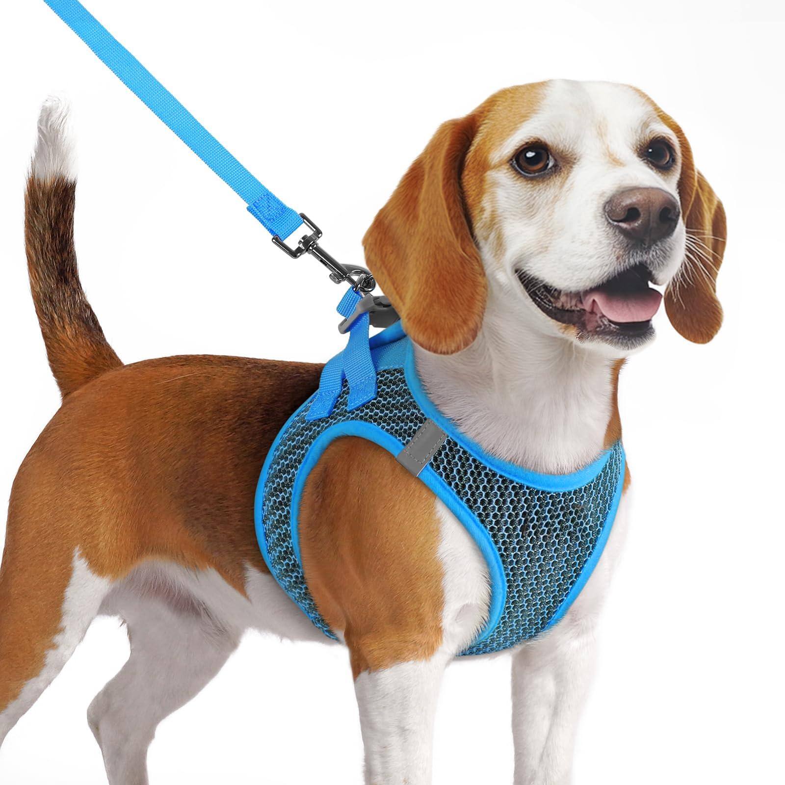 Paradigms Interiors Dog Harness And Leash Set Step In Puppy Vest With Breathable Soft Mesh ...