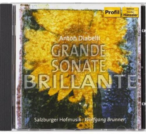 Salzburger Hofmusik Grand Sonata Brillante COMPACT DISCS [CD] - Best Buy