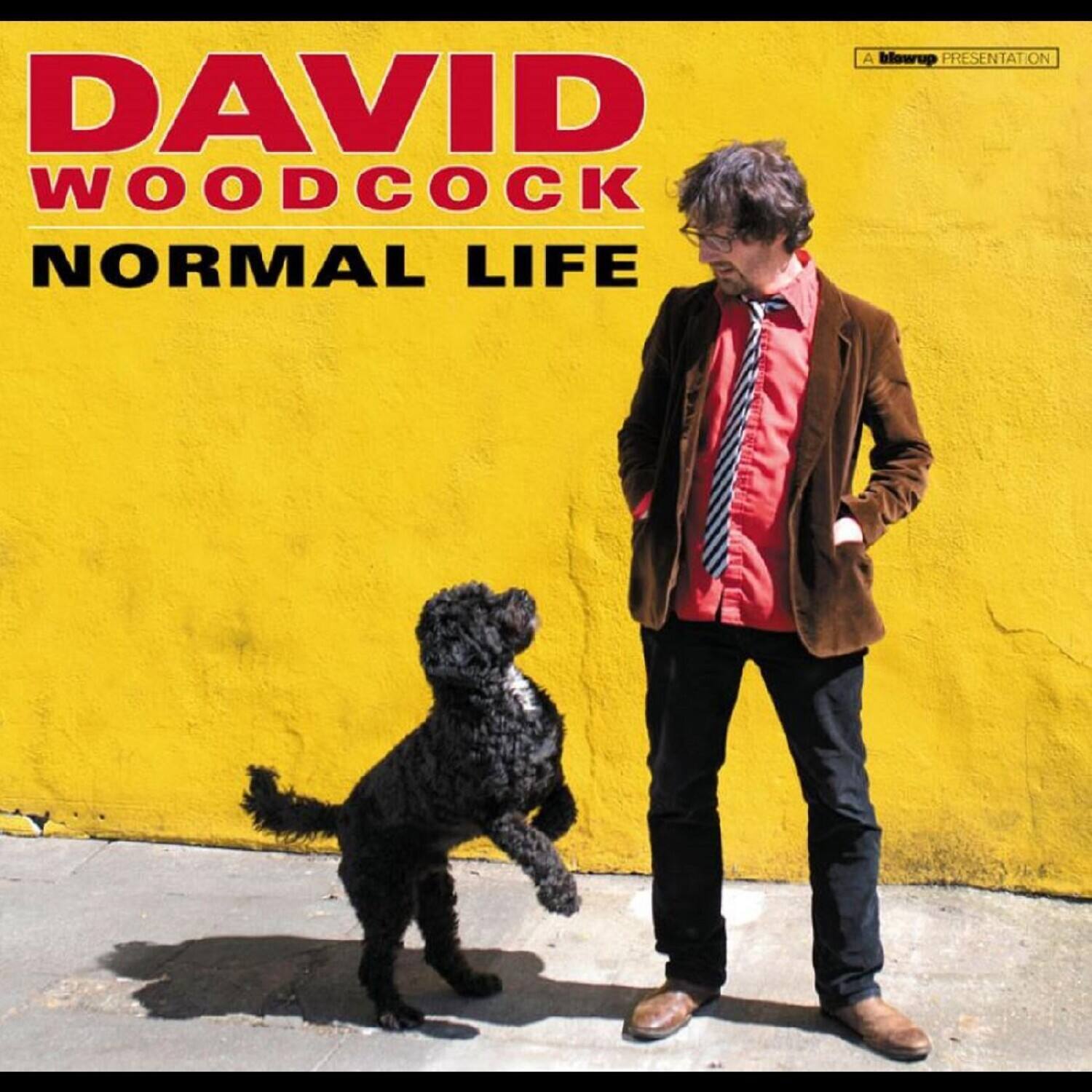 David Woodcock Normal Life VINYL LP - Best Buy