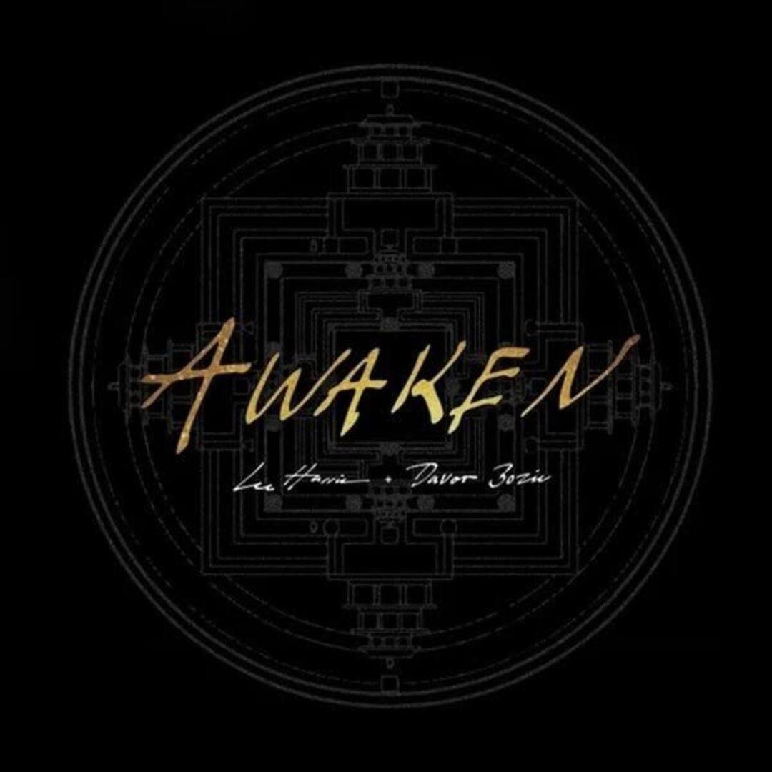 Awaken [LP] [VINYL] - Best Buy