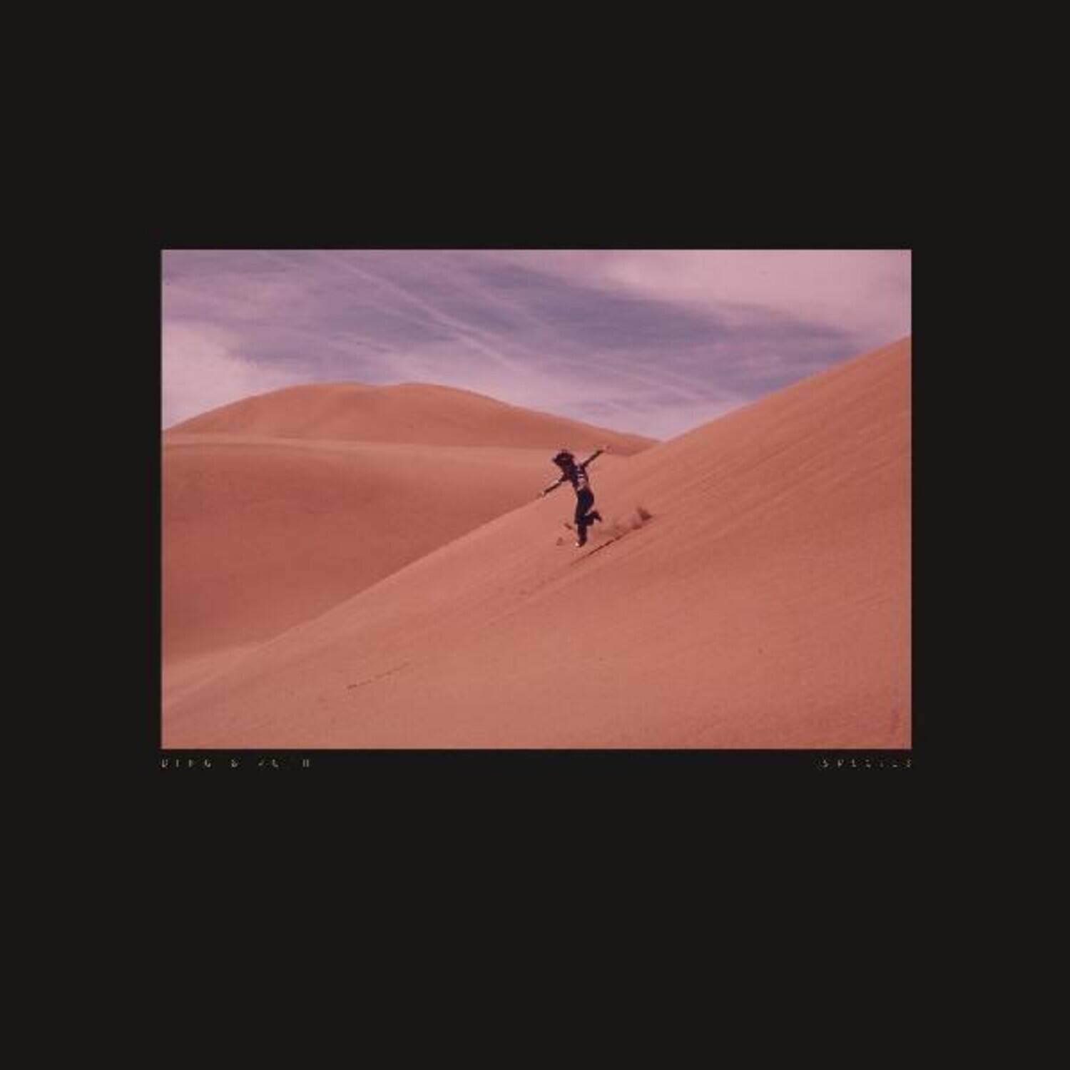 Bing & Ruth Species VINYL LP - Best Buy