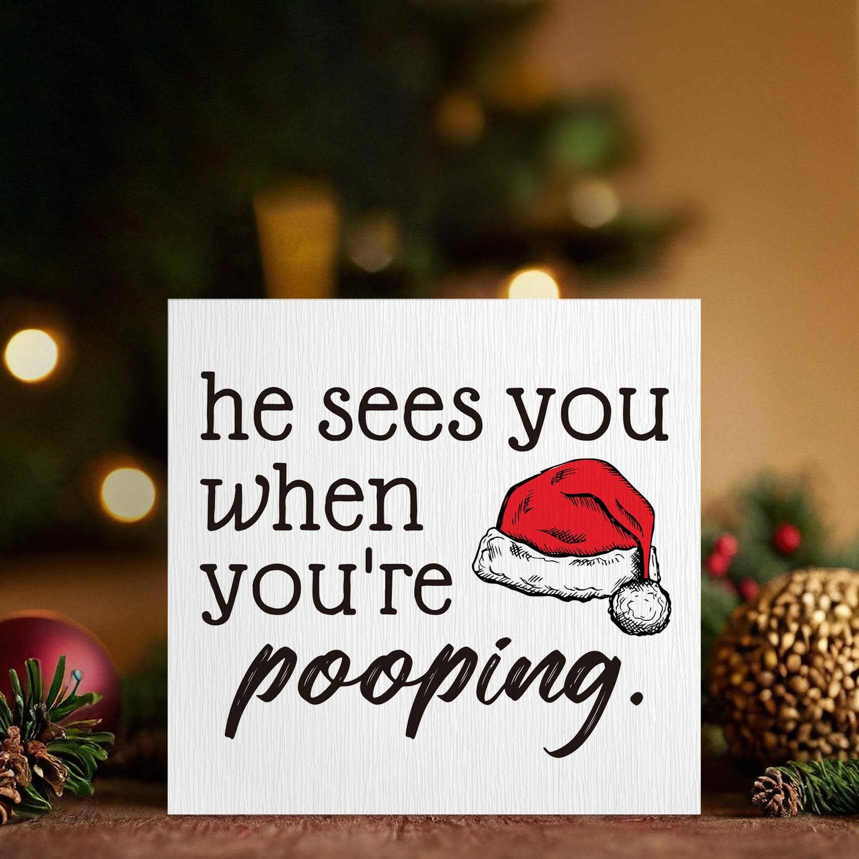 Paradigms Interiors Christmas Bathroom Decorations Funny Decor He Sees ...