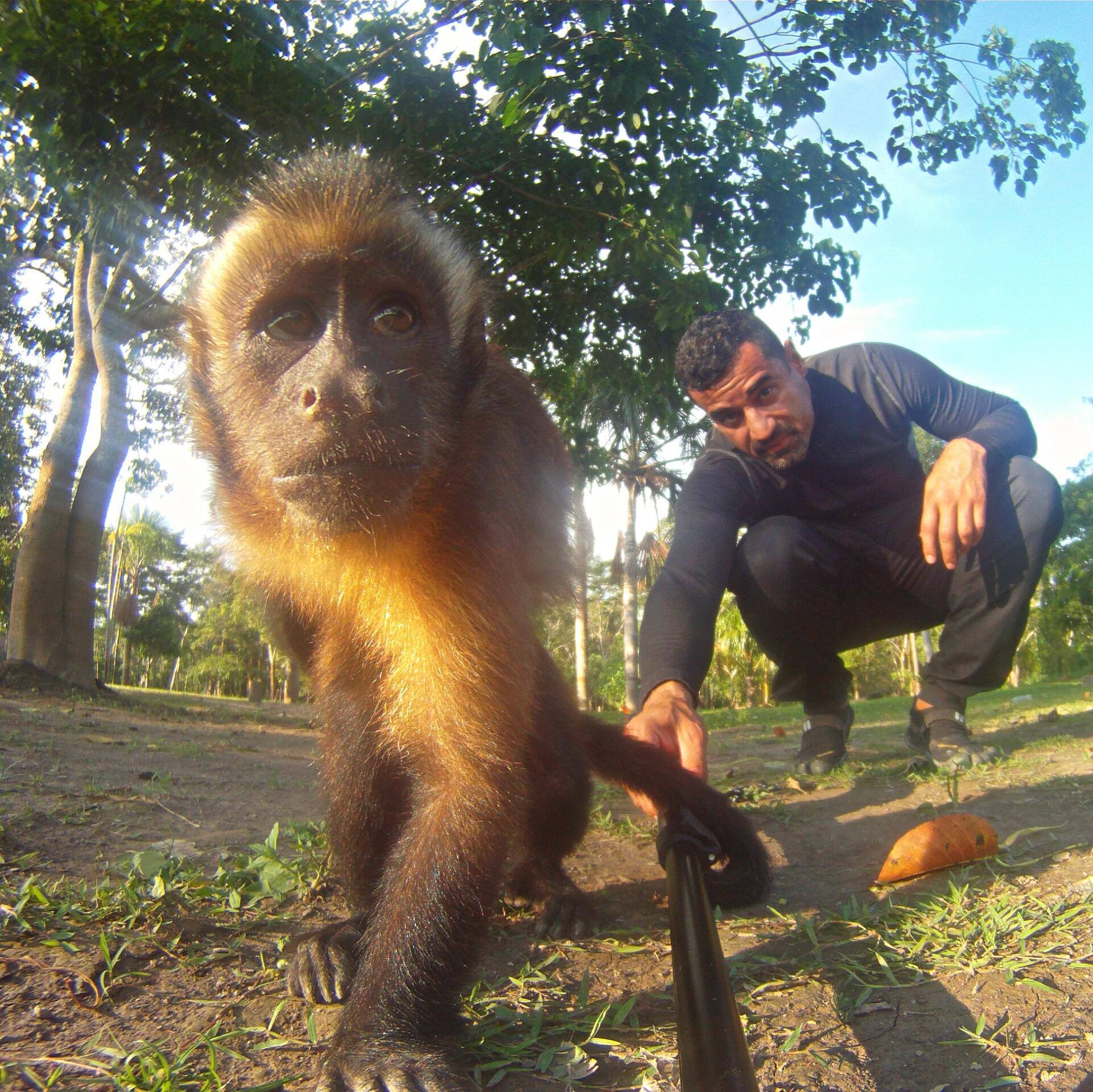 Best Buy: Digipower Salt Waterproof Professional Quickpod Selfie Stick ...