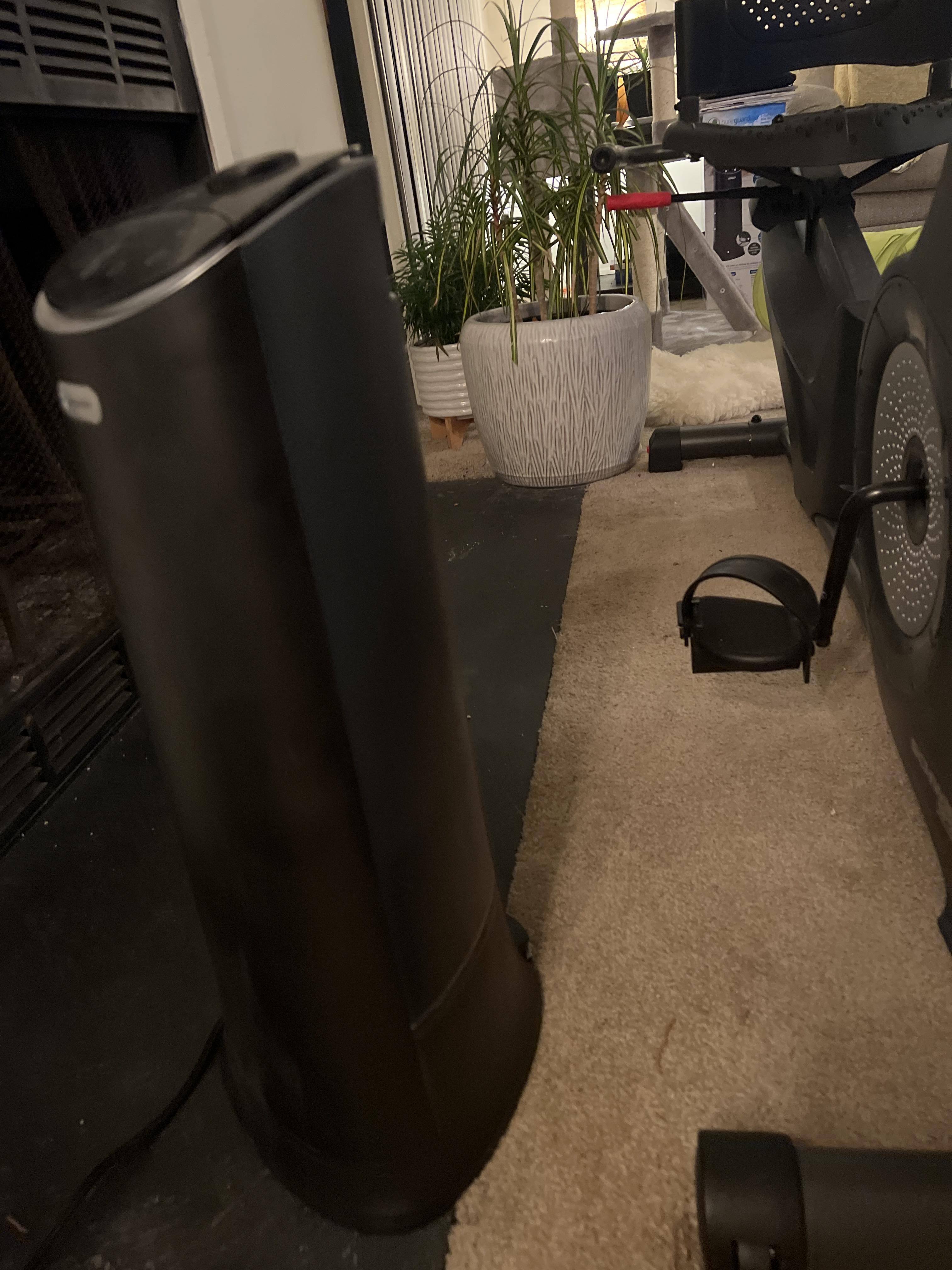 PureGuardian 1.5 Gal. Ultrasonic Cool Mist Humidifier Onyx black ...